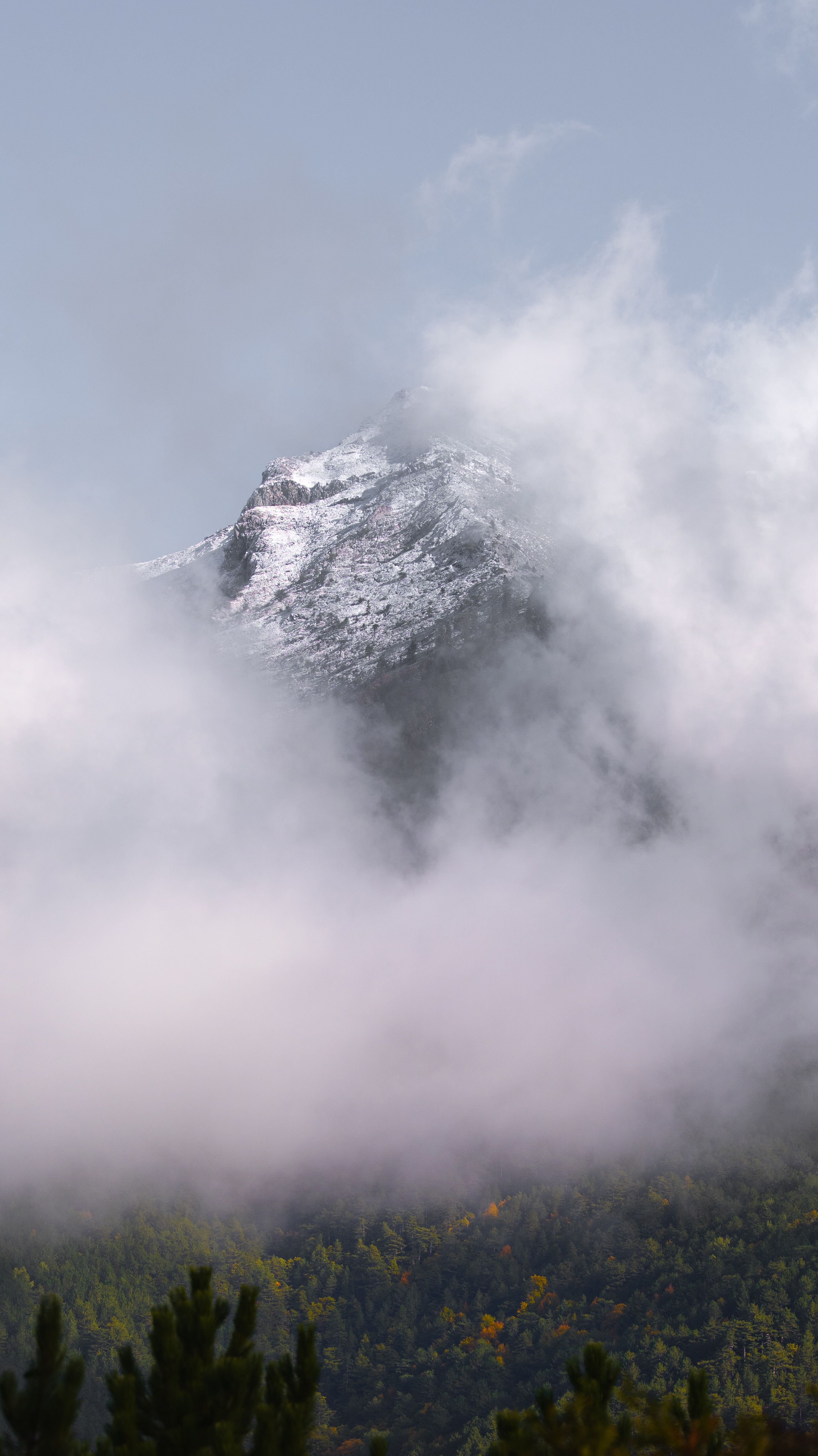 Wild Inspiration Photos, Download The BEST Free Wild Inspiration Stock ...