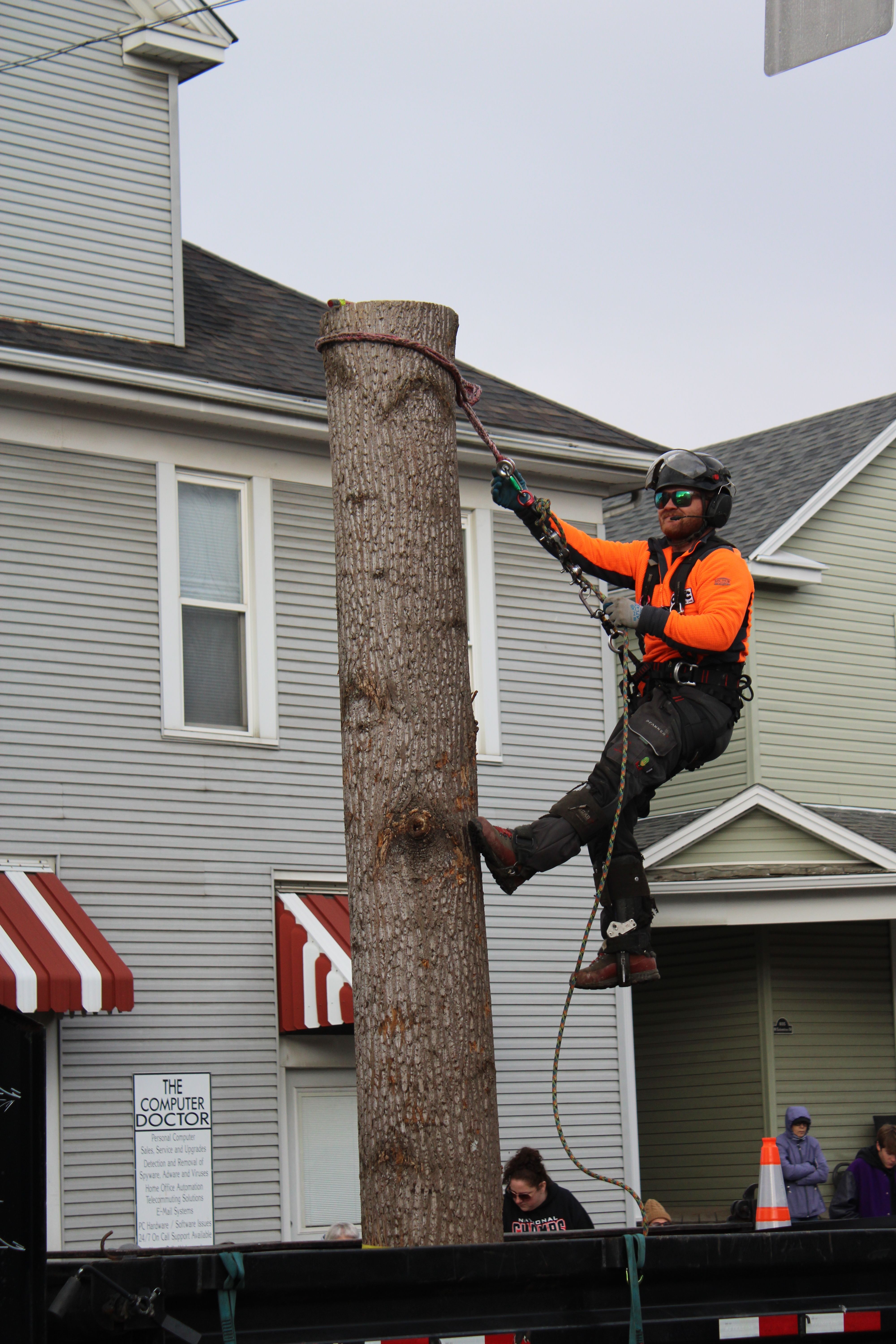 Arborist Climbing Tree Trunk in Lancaster Parade · Free Stock Photo