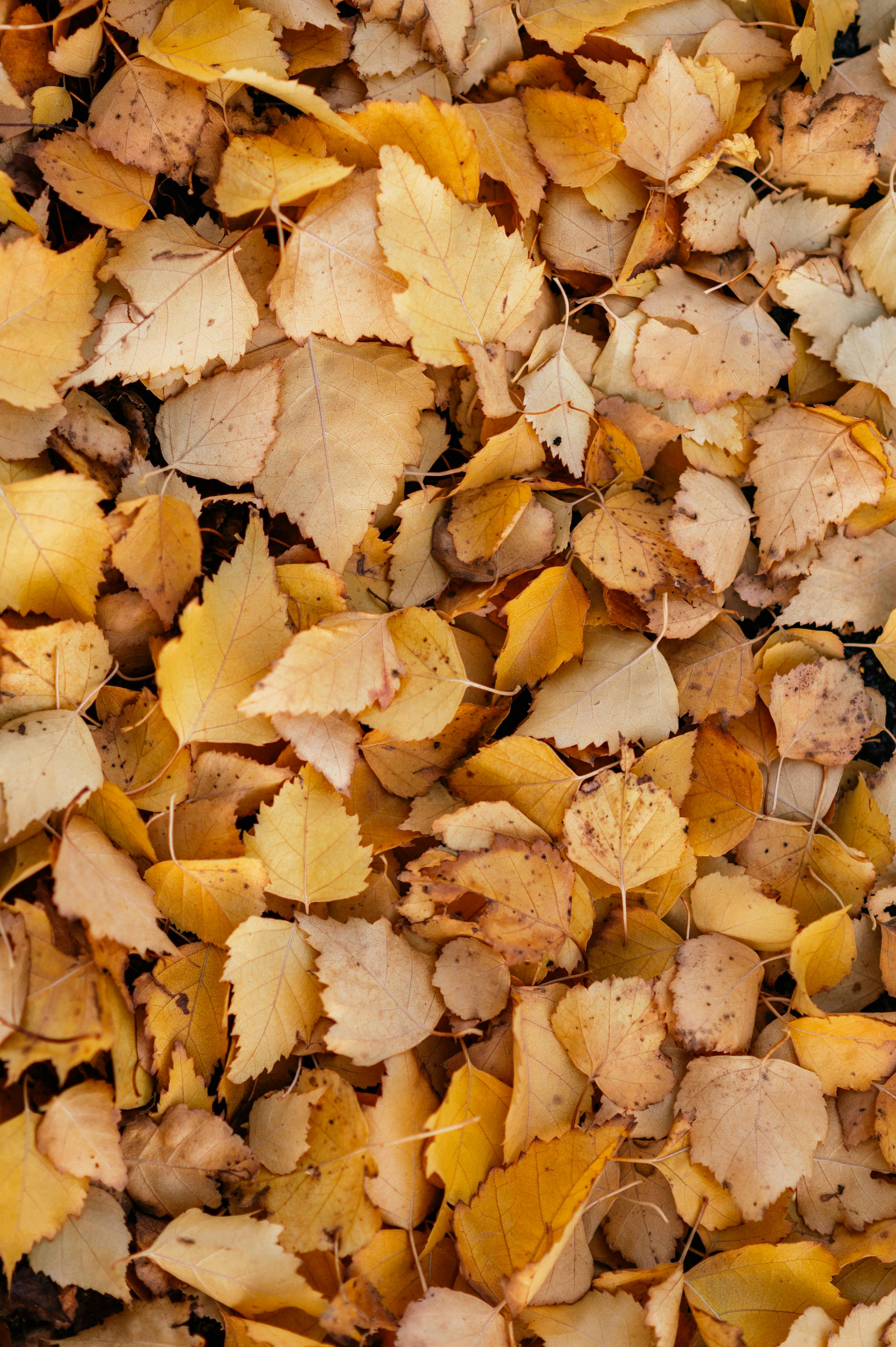 Imgrsc.Ru+Landscape Photos, Download The BEST Free Imgrsc.Ru+Landscape ...