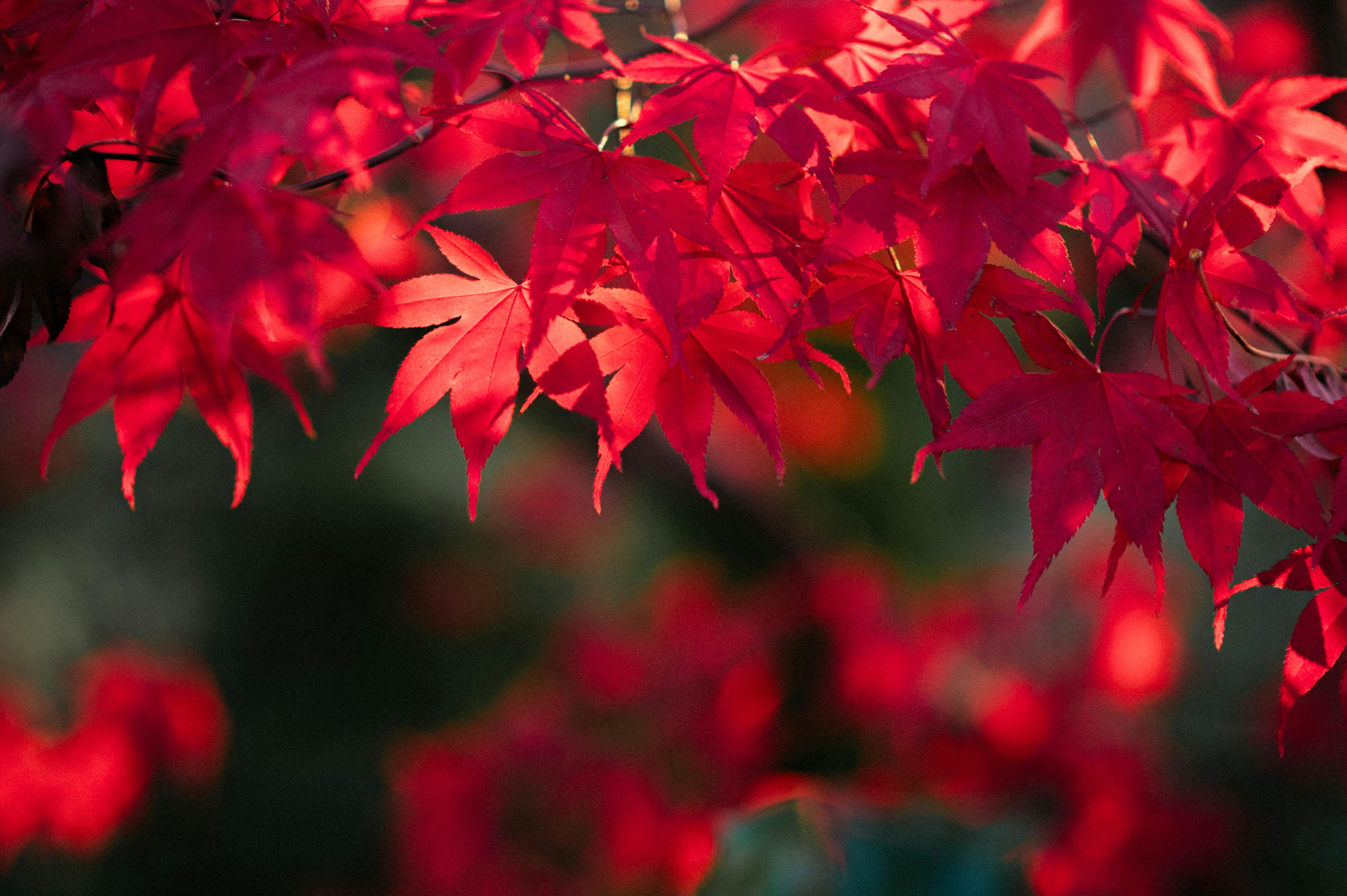 Imgrsc.Ru+Landscape Photos, Download The BEST Free Imgrsc.Ru+Landscape ...