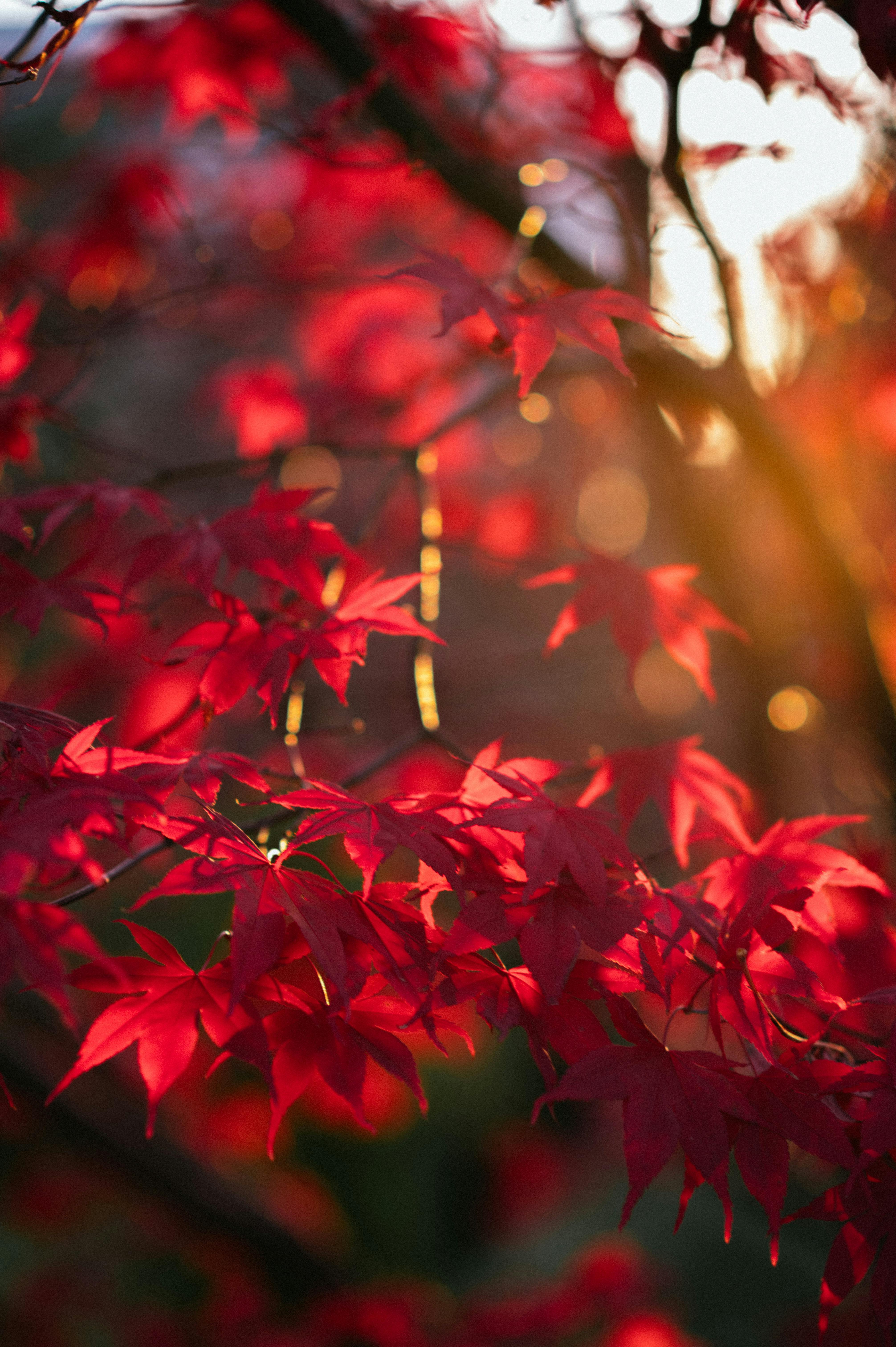 Imgrsc.Ru+Landscape Photos, Download The BEST Free Imgrsc.Ru+Landscape ...