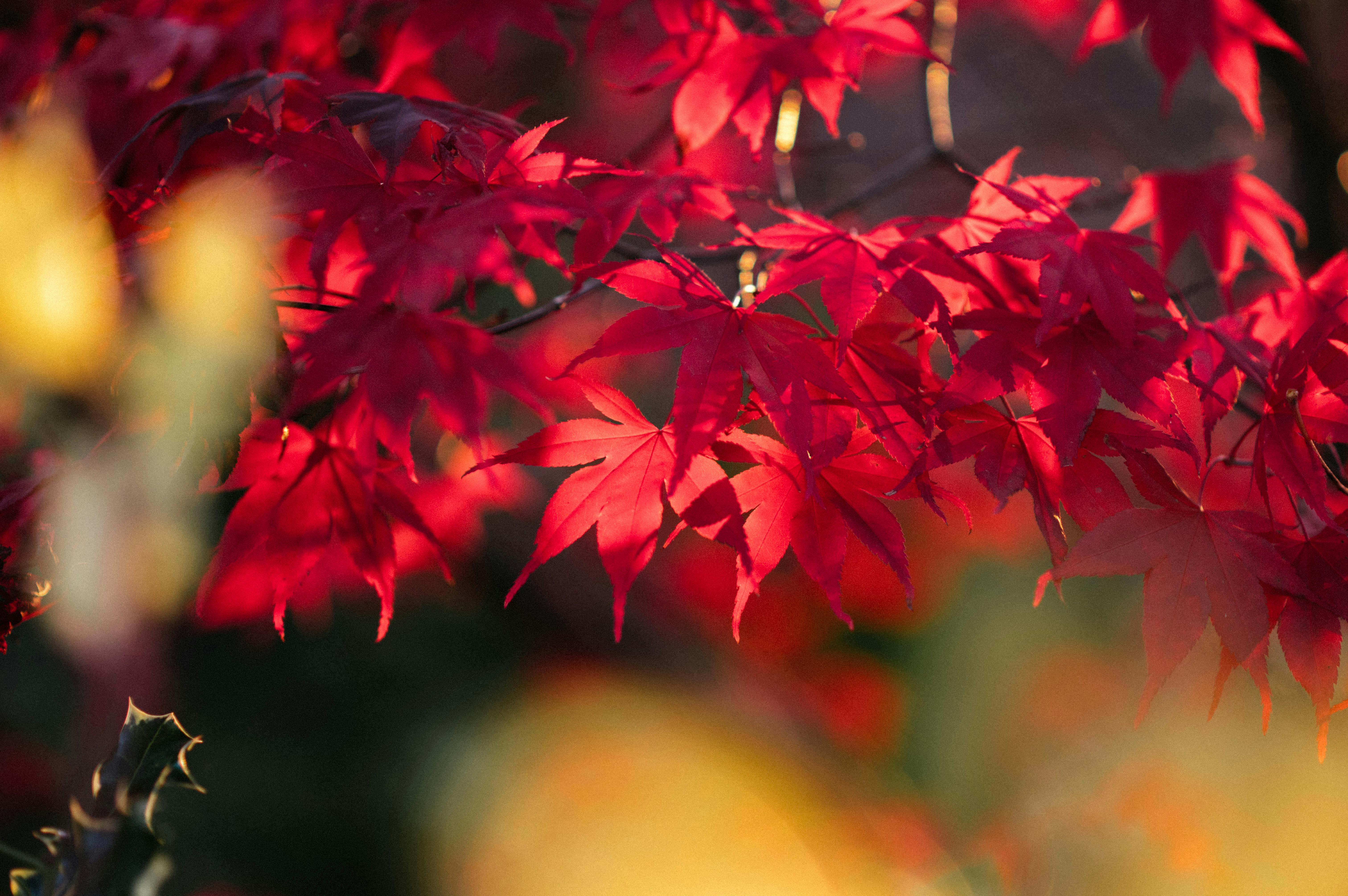 Imgrsc.Ru+Landscape Photos, Download The BEST Free Imgrsc.Ru+Landscape ...