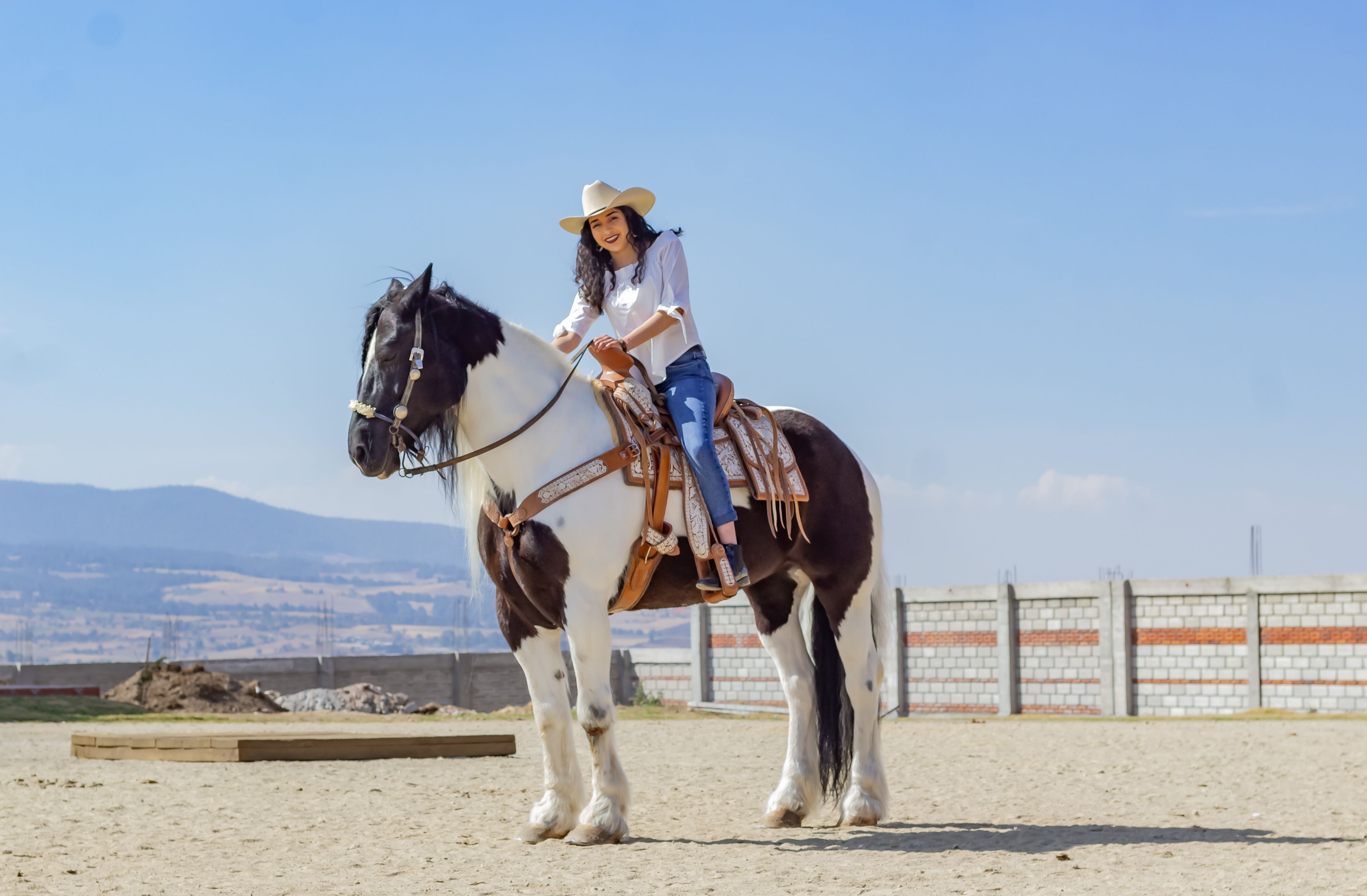 Cowgirl Riding Horse in Scenic Outdoor Setting · Free Stock Photo