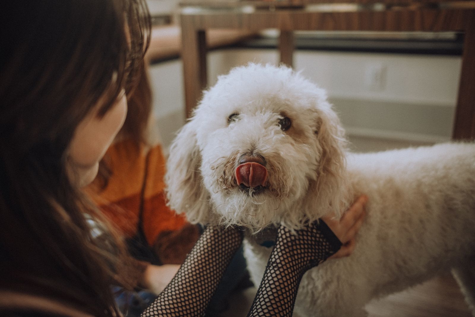 Happy+Friday+Dog+Images Photos, Download The BEST Free Happy+Friday+Dog ...
