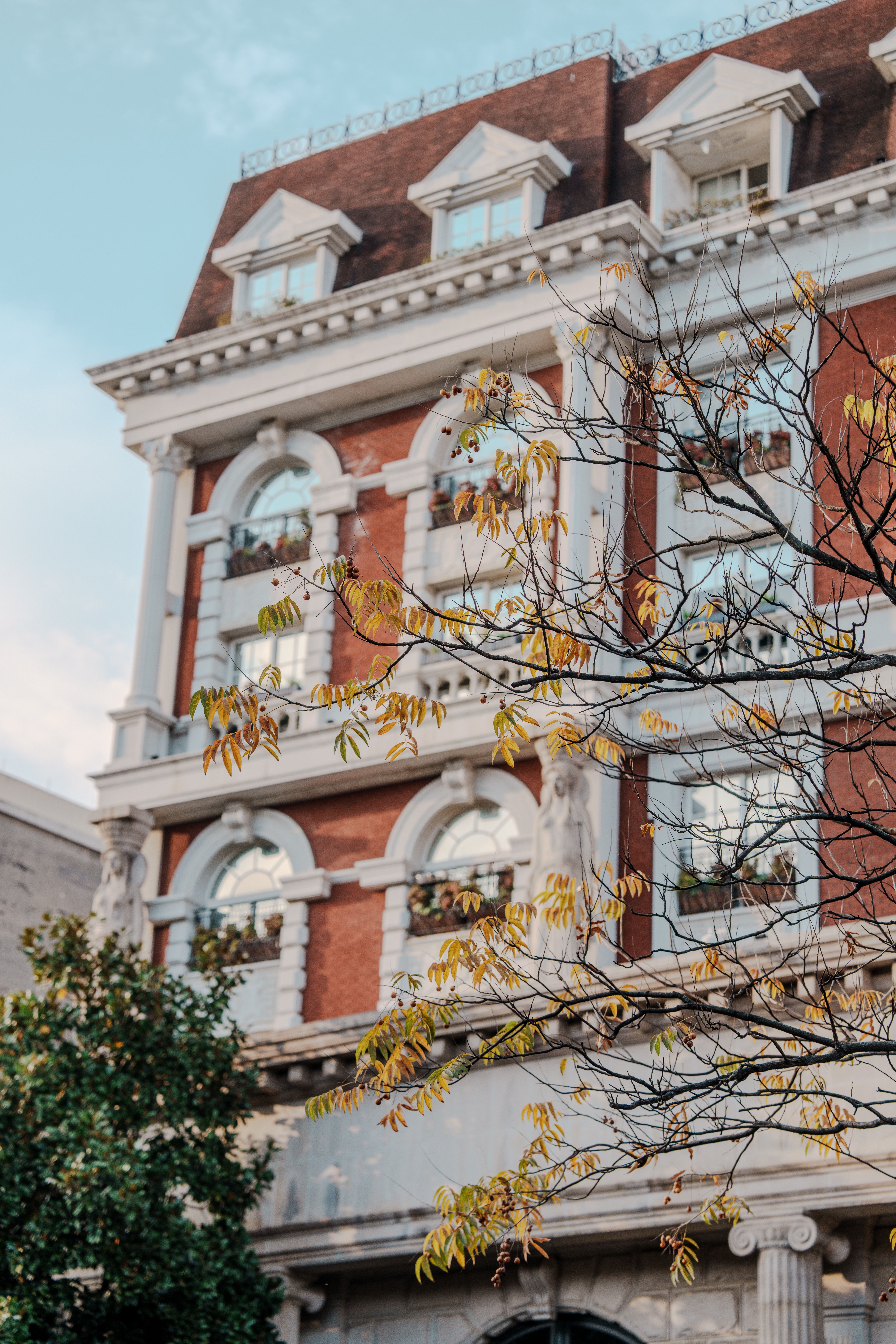 Elegant Brick Building with Autumn Foliage · Free Stock Photo