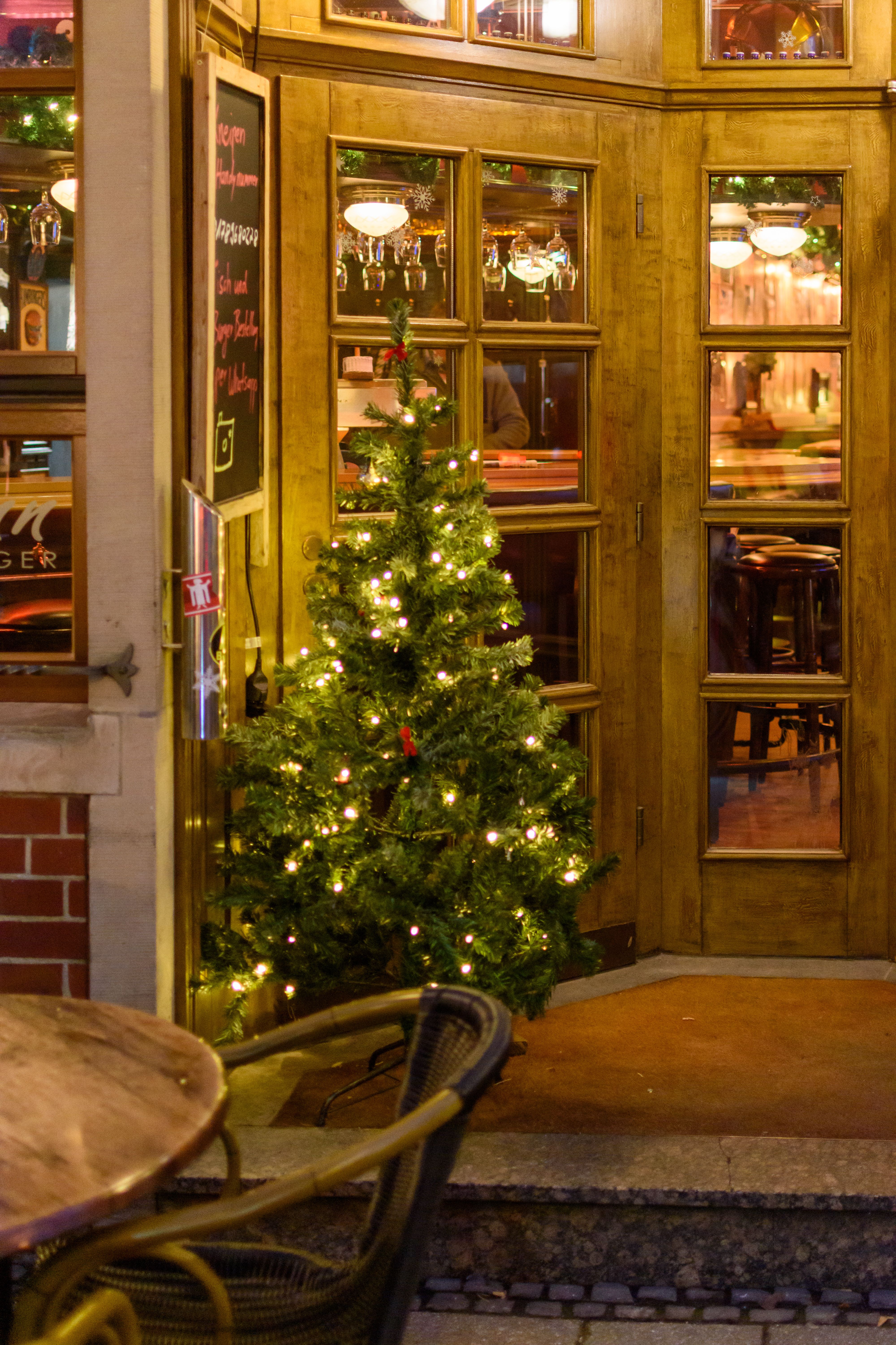 Cozy Festive Outdoor Scene with Christmas Tree · Free Stock Photo