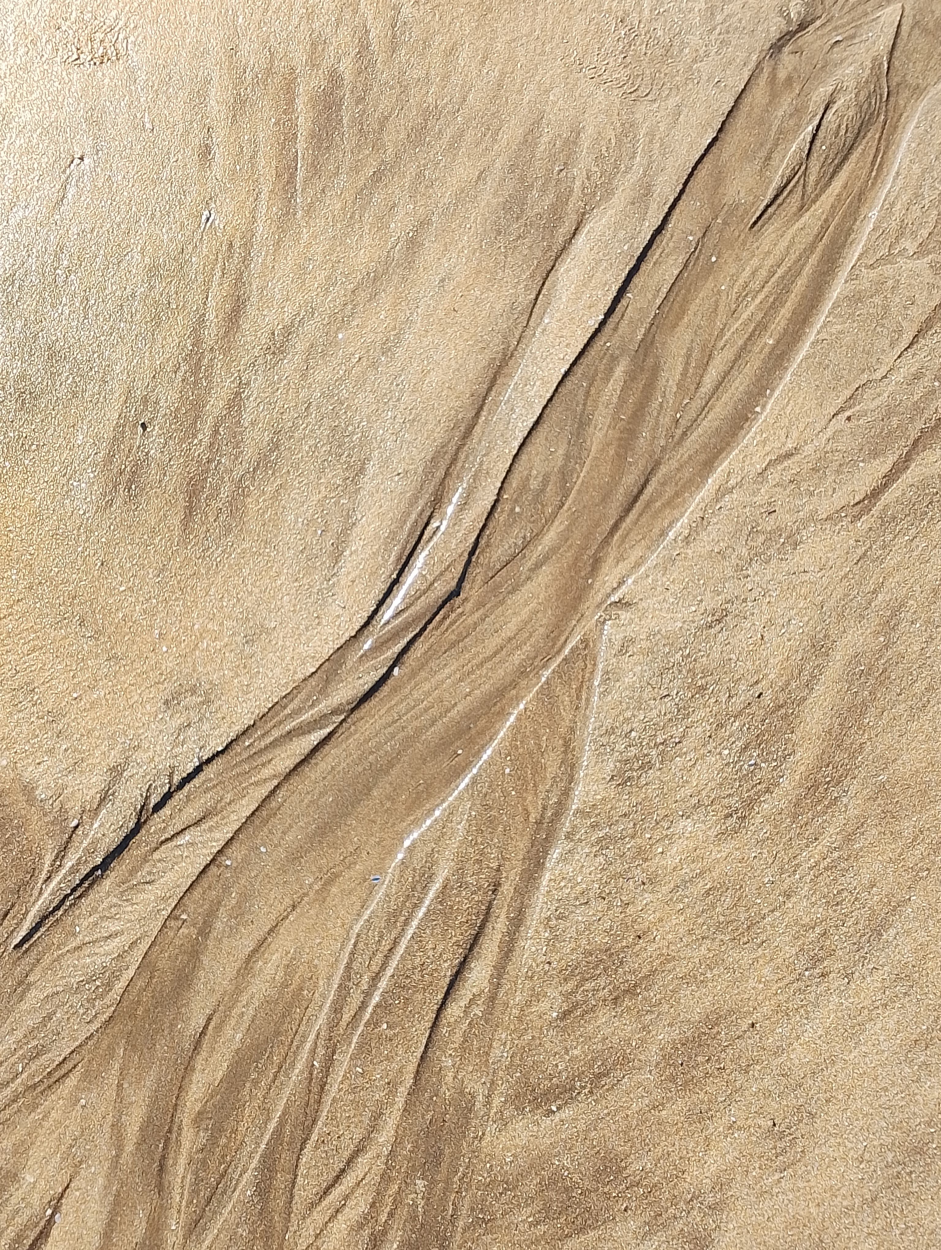 Intricate Sand Patterns on Coastal Beach · Free Stock Photo