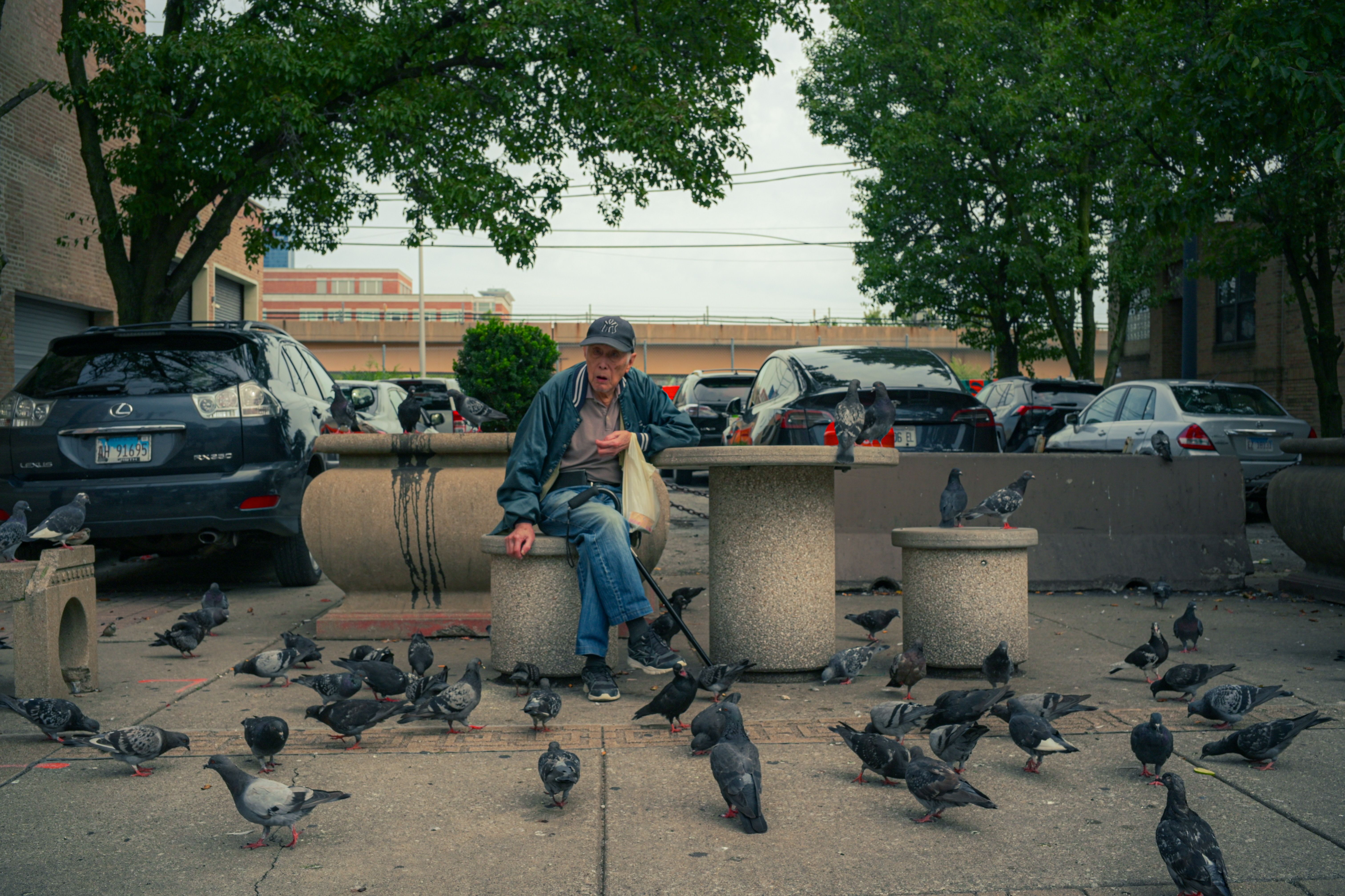 Senior Friendly Bird Watching Activity Photos, Download The BEST Free ...