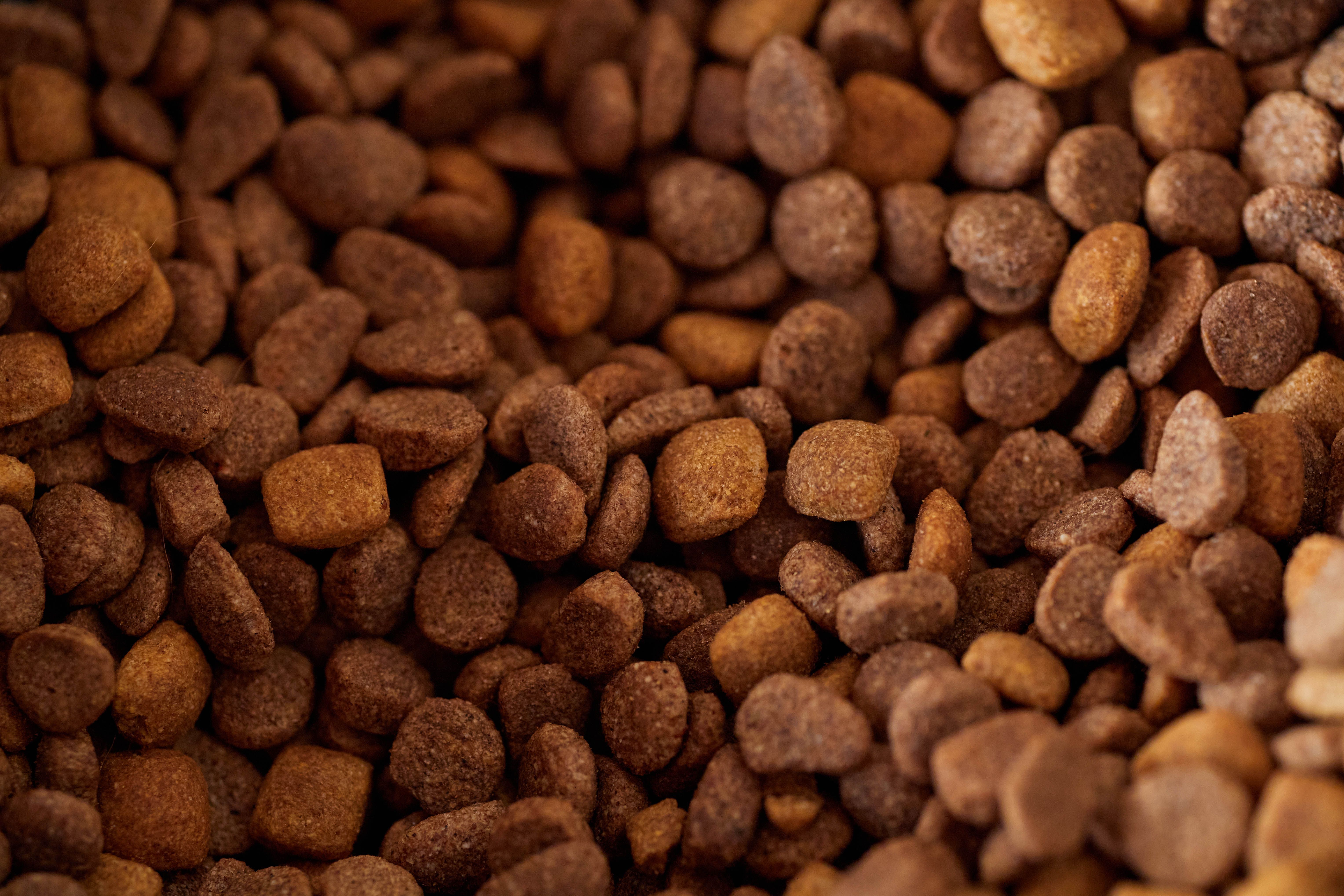 Close-Up of Brown Dry Pet Food Kibble · Free Stock Photo
