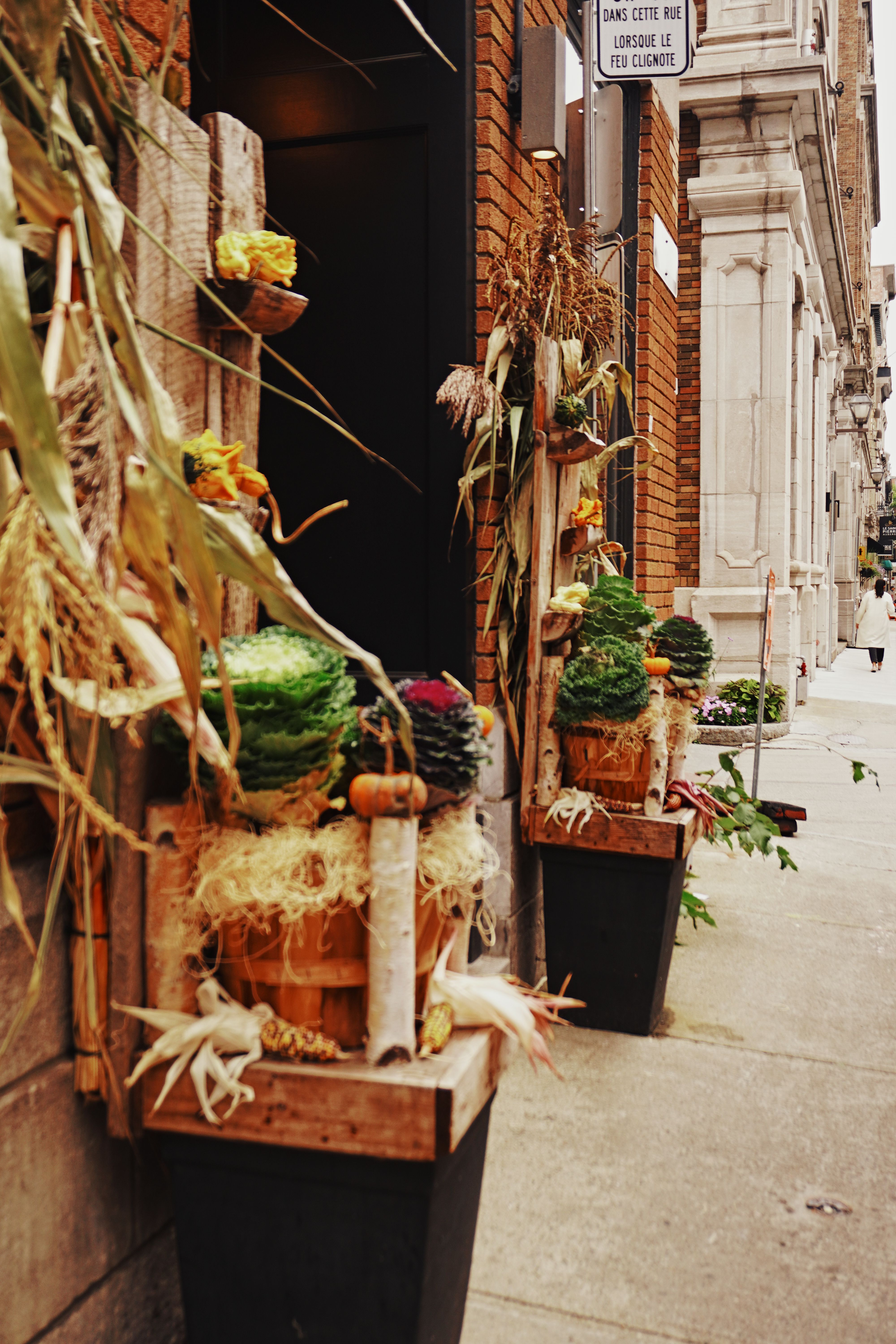 Charming Autumn Street Decorations in Québec City · Free Stock Photo