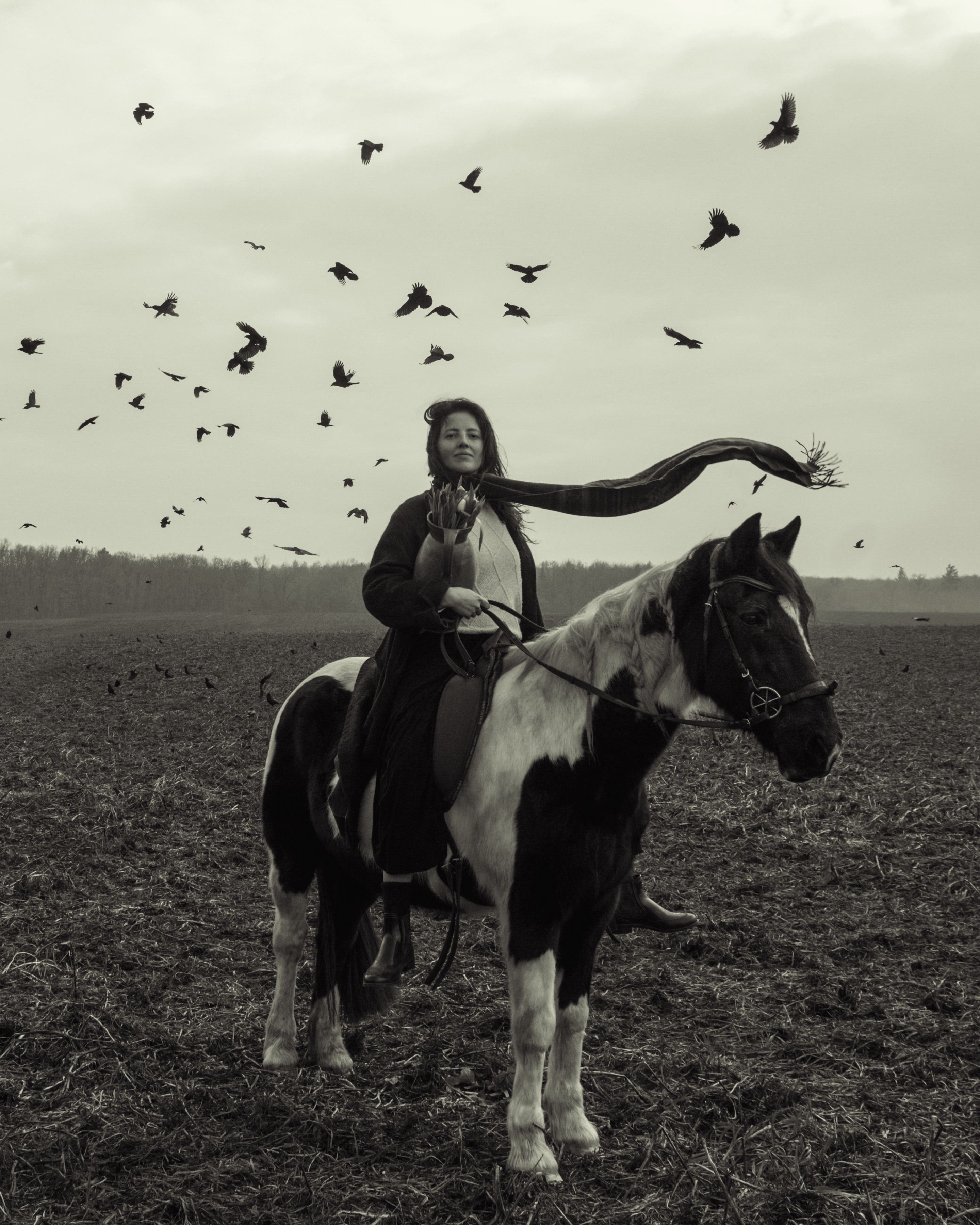 Woman Riding Horse with Birds in Flight · Free Stock Photo