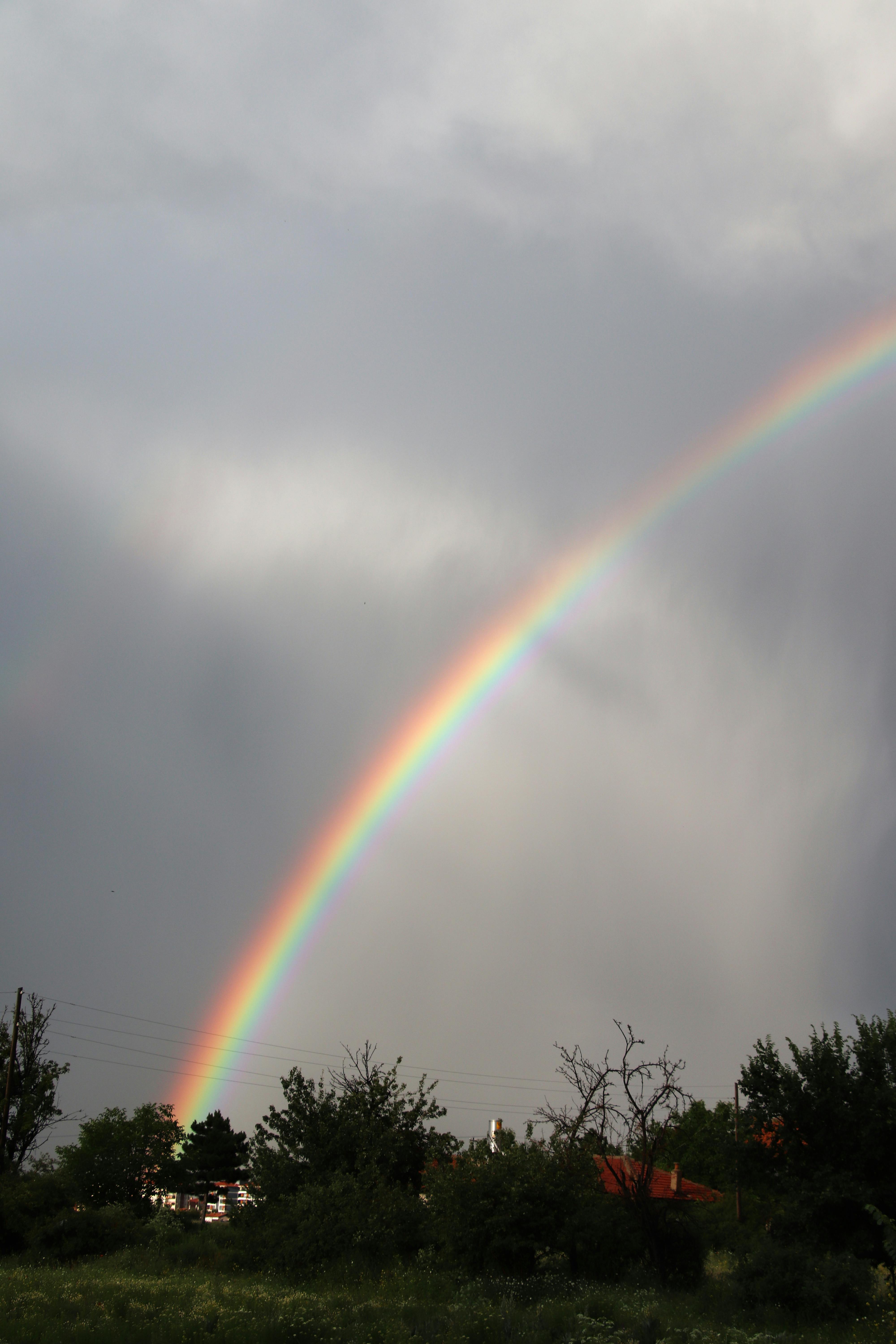 Guldasta Png Photos, Download The BEST Free Guldasta Png Stock Photos ...