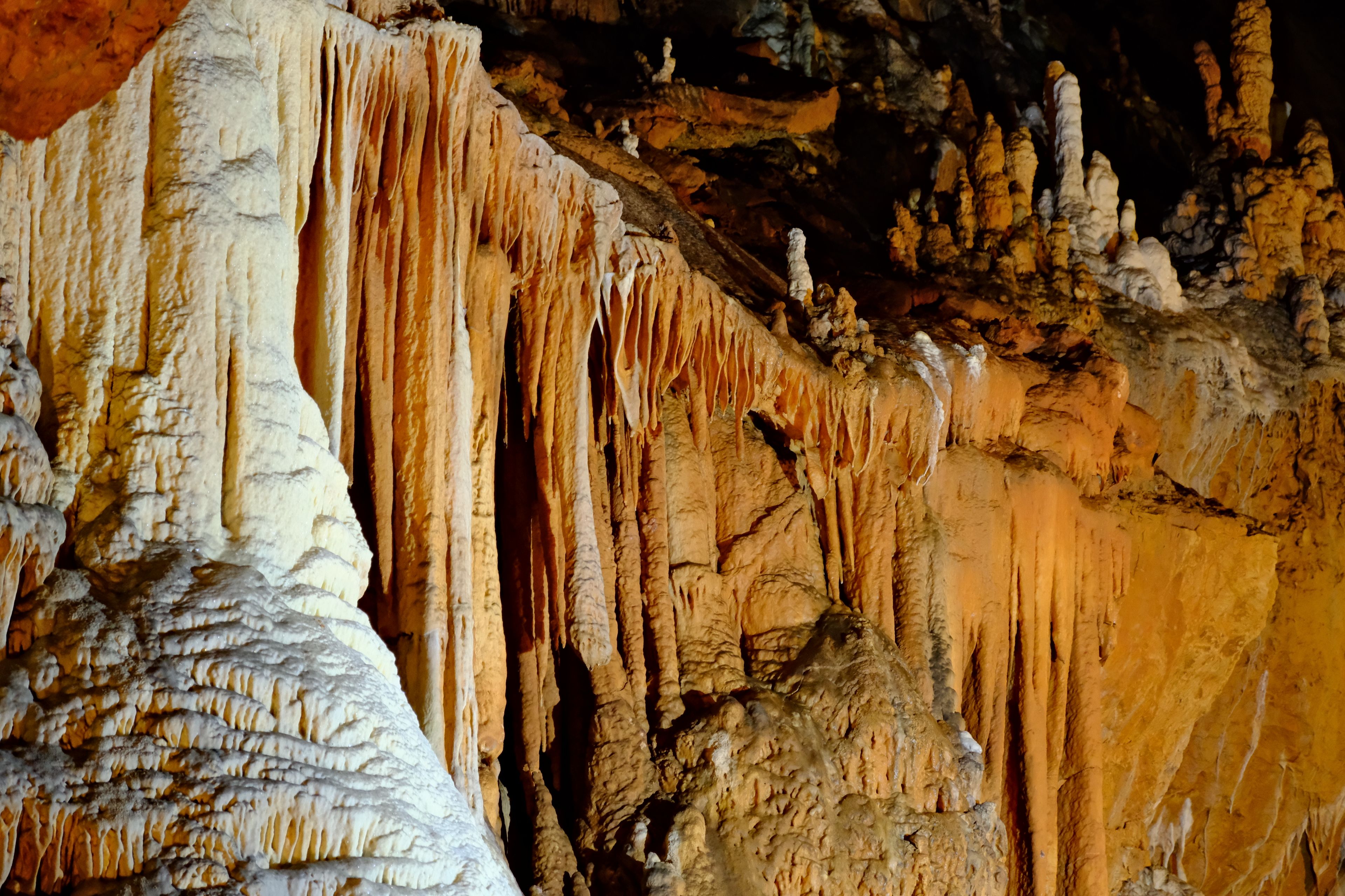 Intricate Stalactites and Stalagmites in a Cave · Free Stock Photo