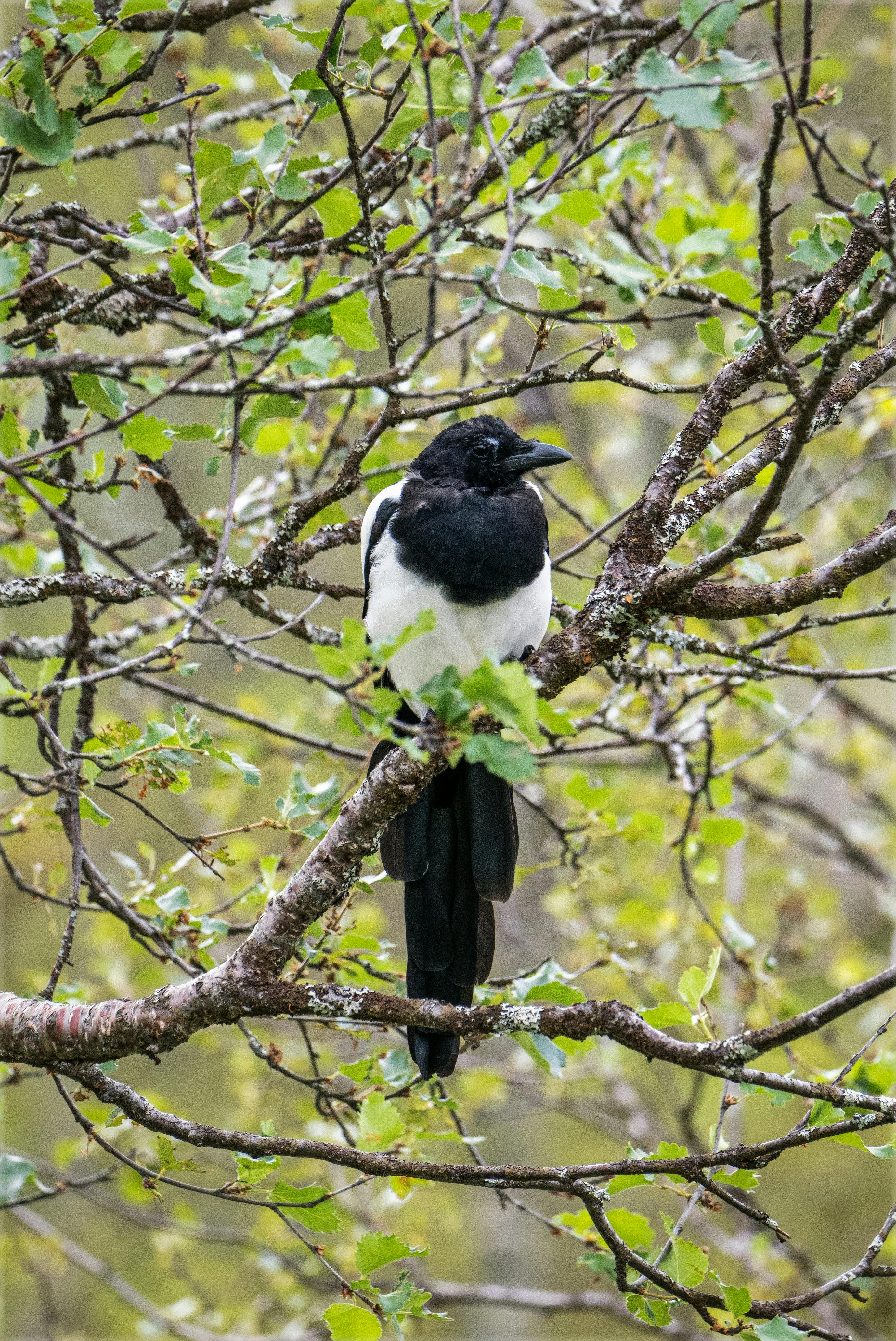 Qs=N&Form=Qbre&Sp= 1&Lq=0&Pq=Qs= Photos, Download The BEST Free Qs=N&Form=Qbre&Sp= 1&Lq=0&Pq=Qs ...