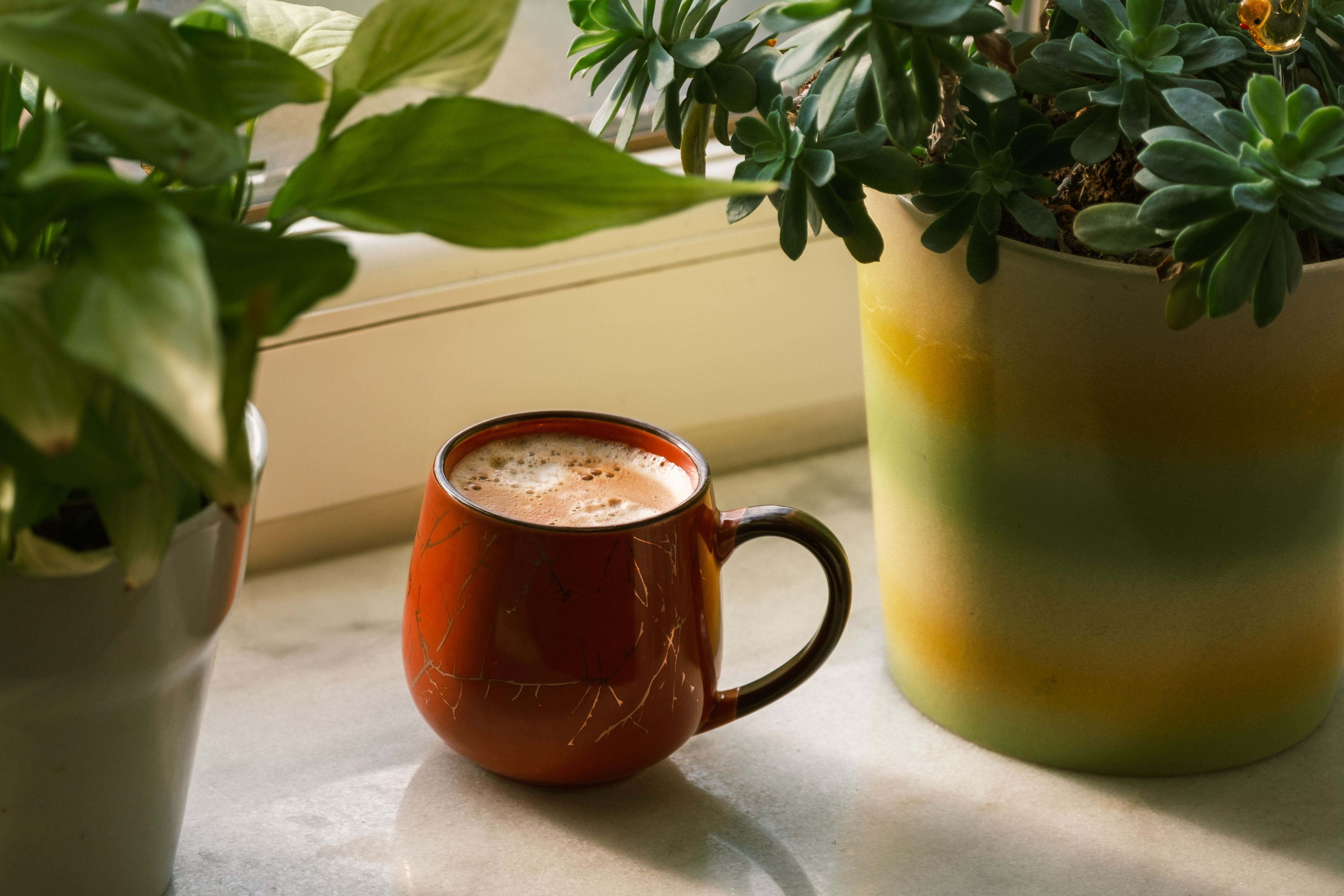 Cozy Morning Coffee by Indoor Plants · Free Stock Photo
