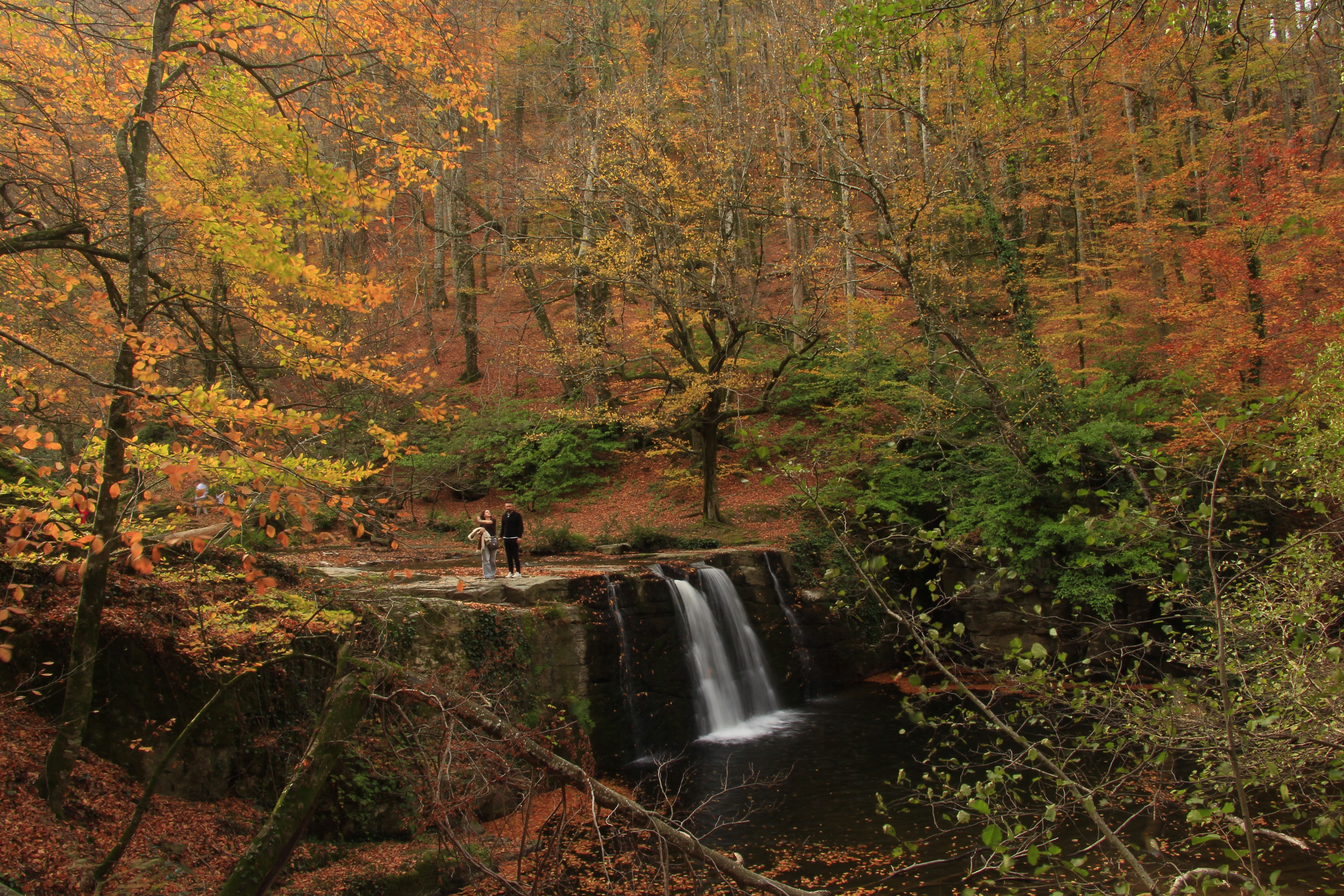 Scenic Autumn Waterfall in Forest Setting · Free Stock Photo