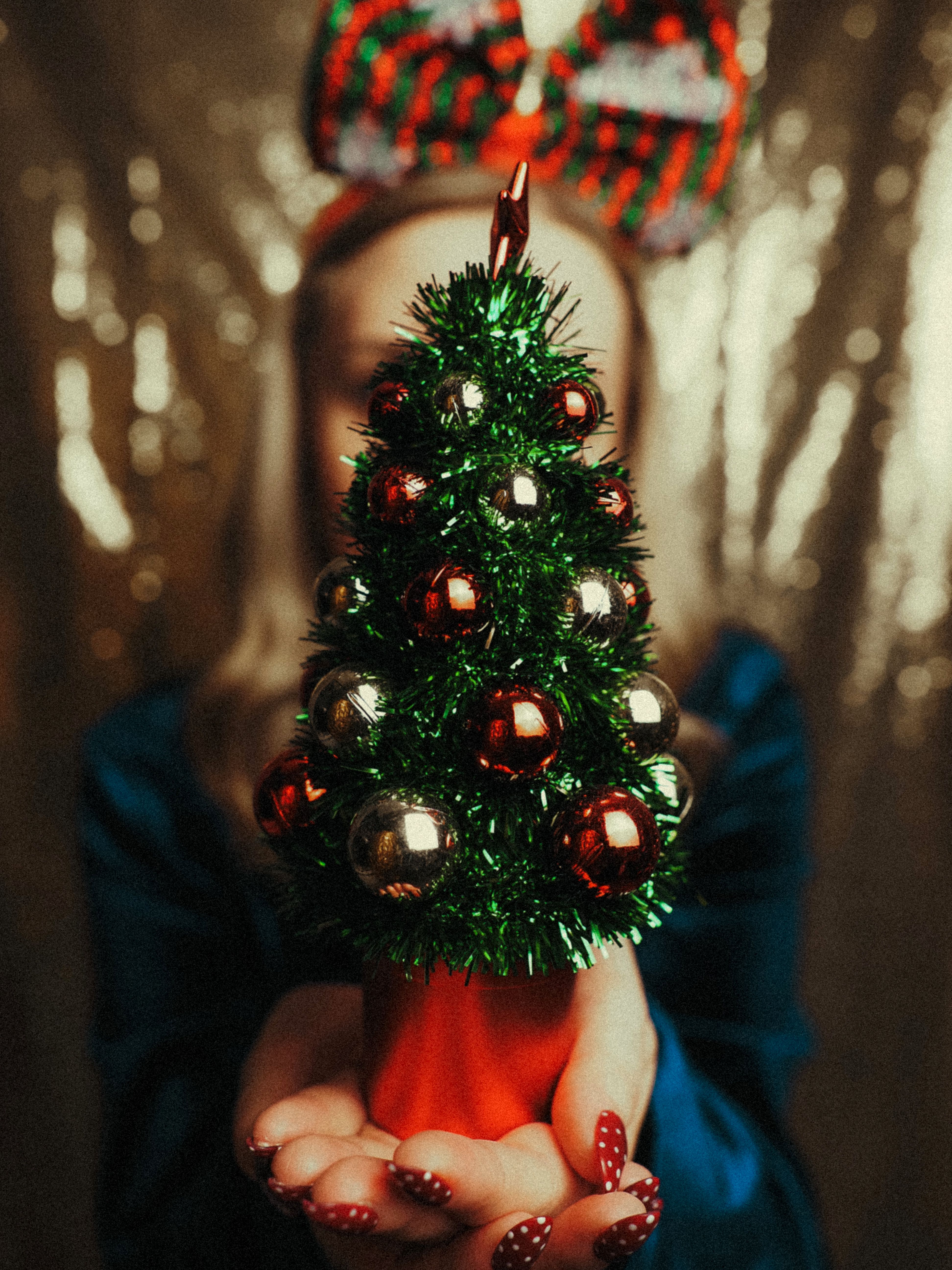 Festive Handheld Mini Christmas Tree Display · Free Stock Photo