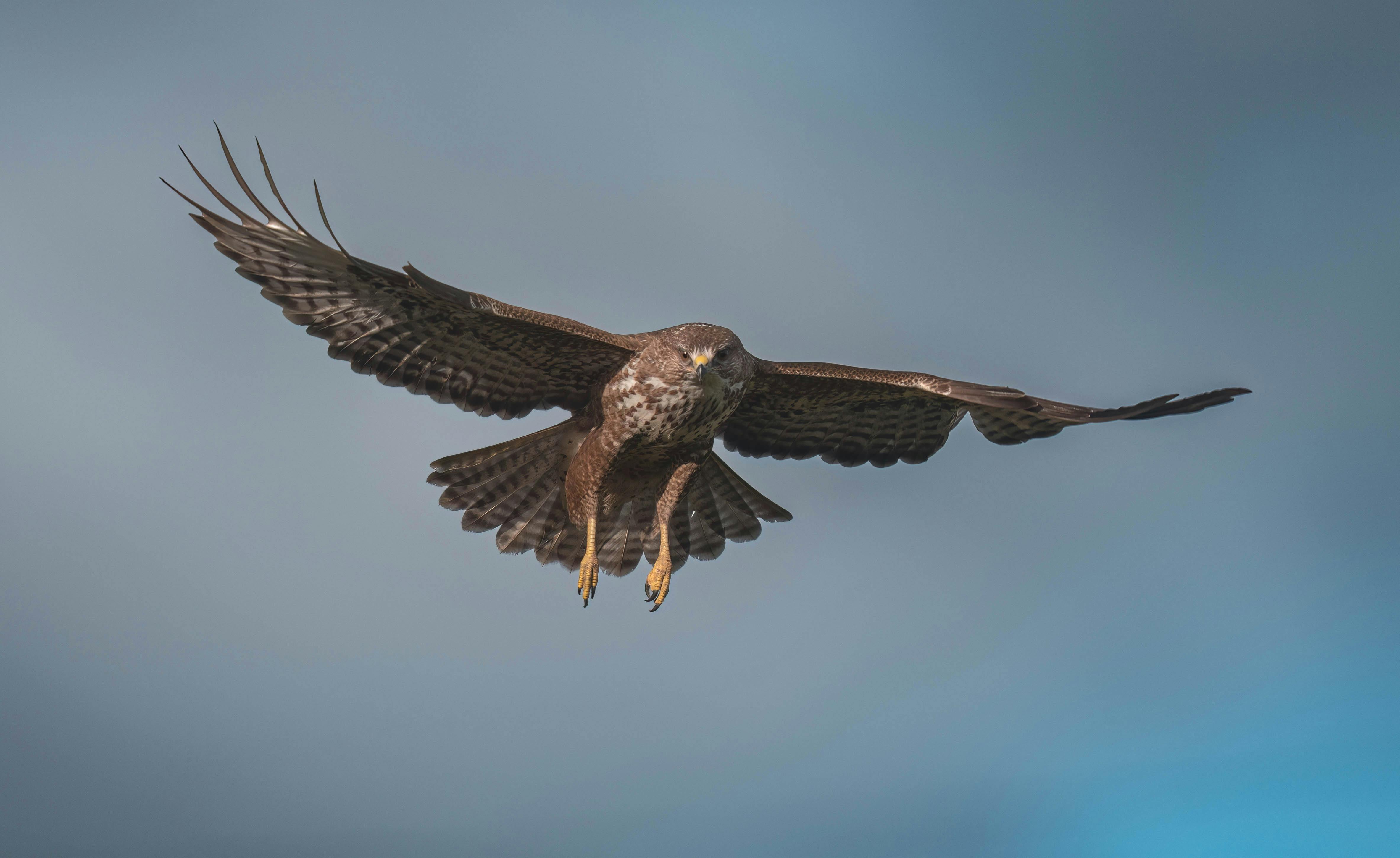 Free Photosbackgrounds Photos, Download The BEST Free Free ...