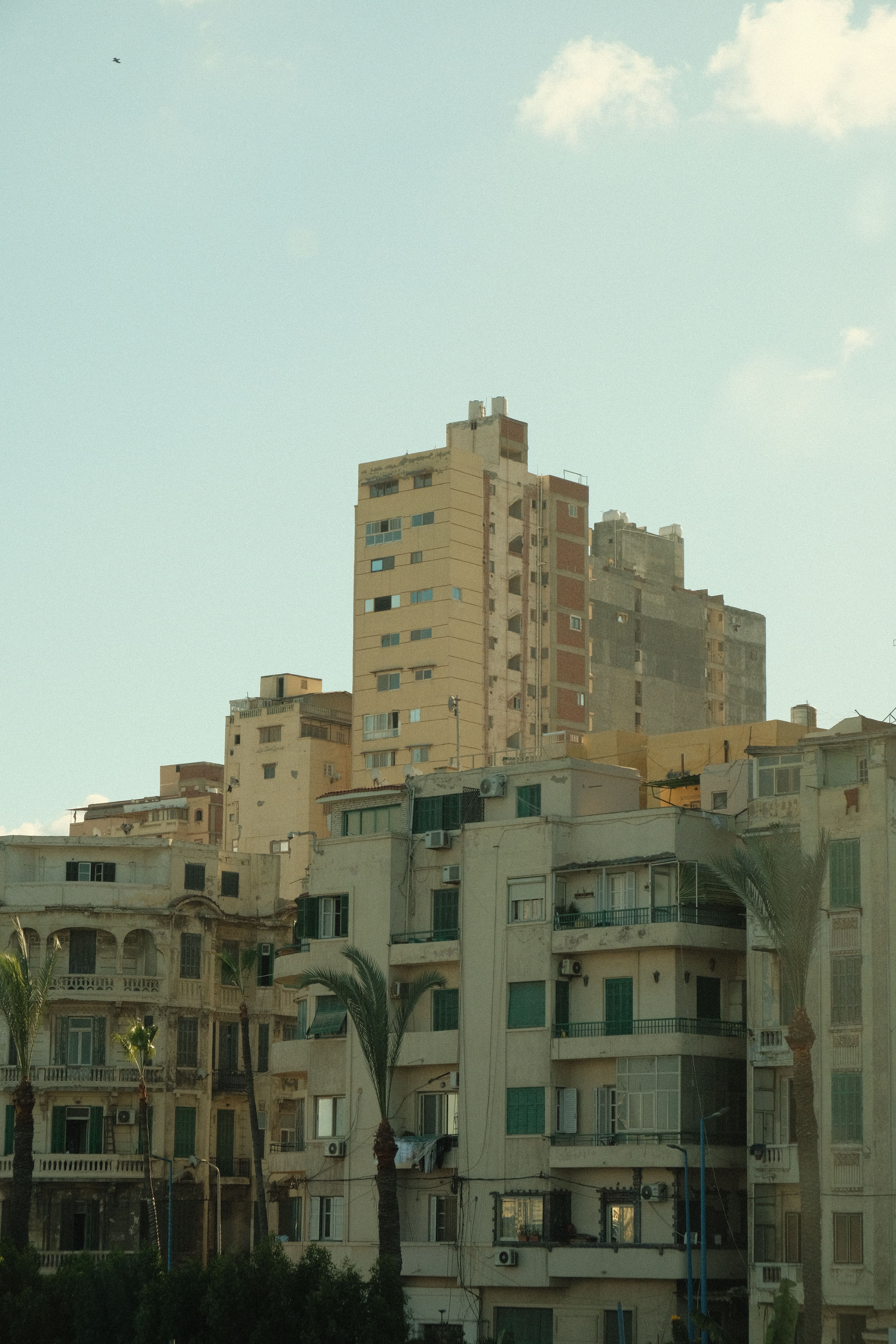 Street with Cars along Modern Urban Tenements · Free Stock Photo