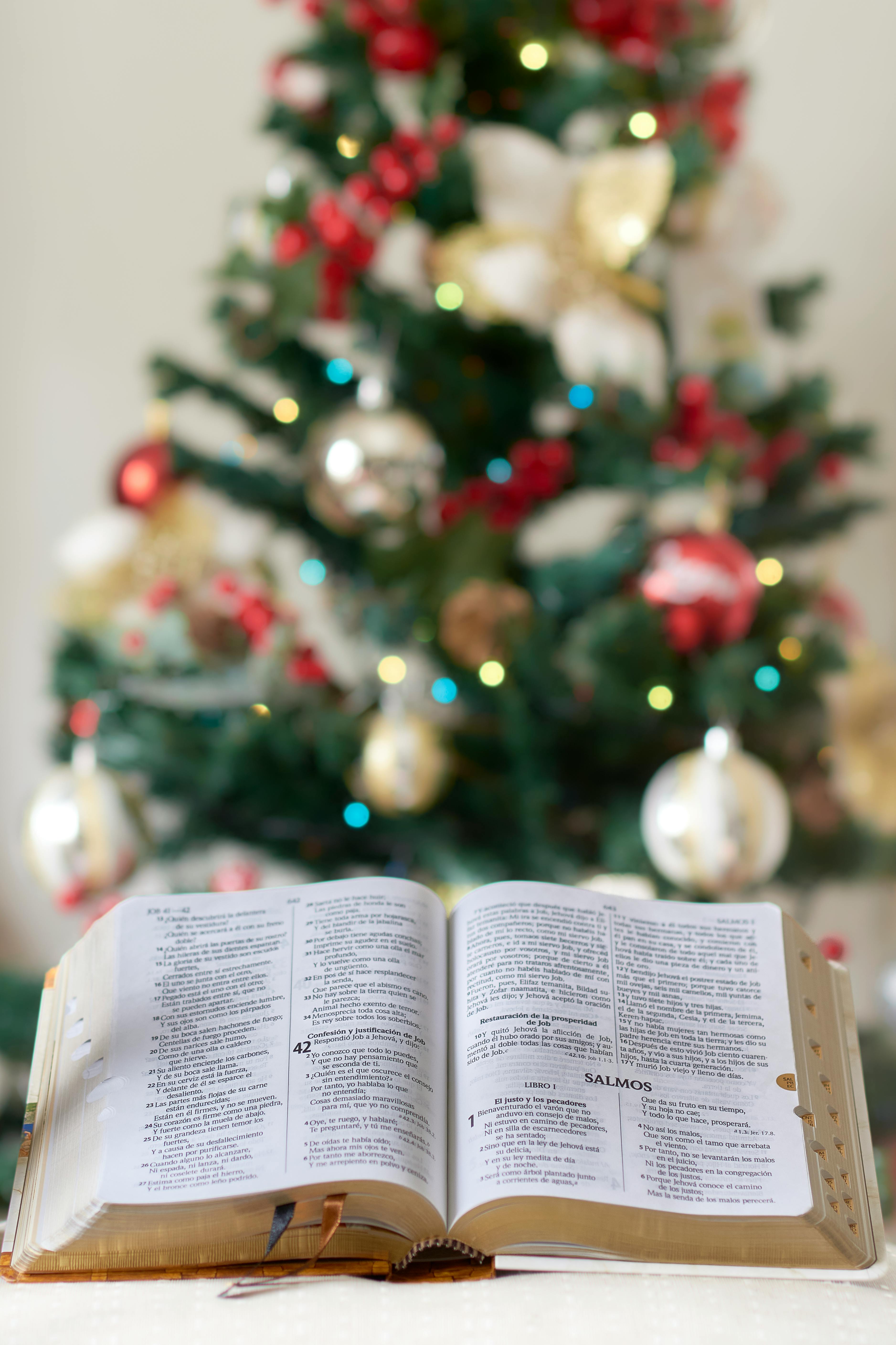 Christmas, Bible Photos, Download The BEST Free Christmas, Bible Stock ...