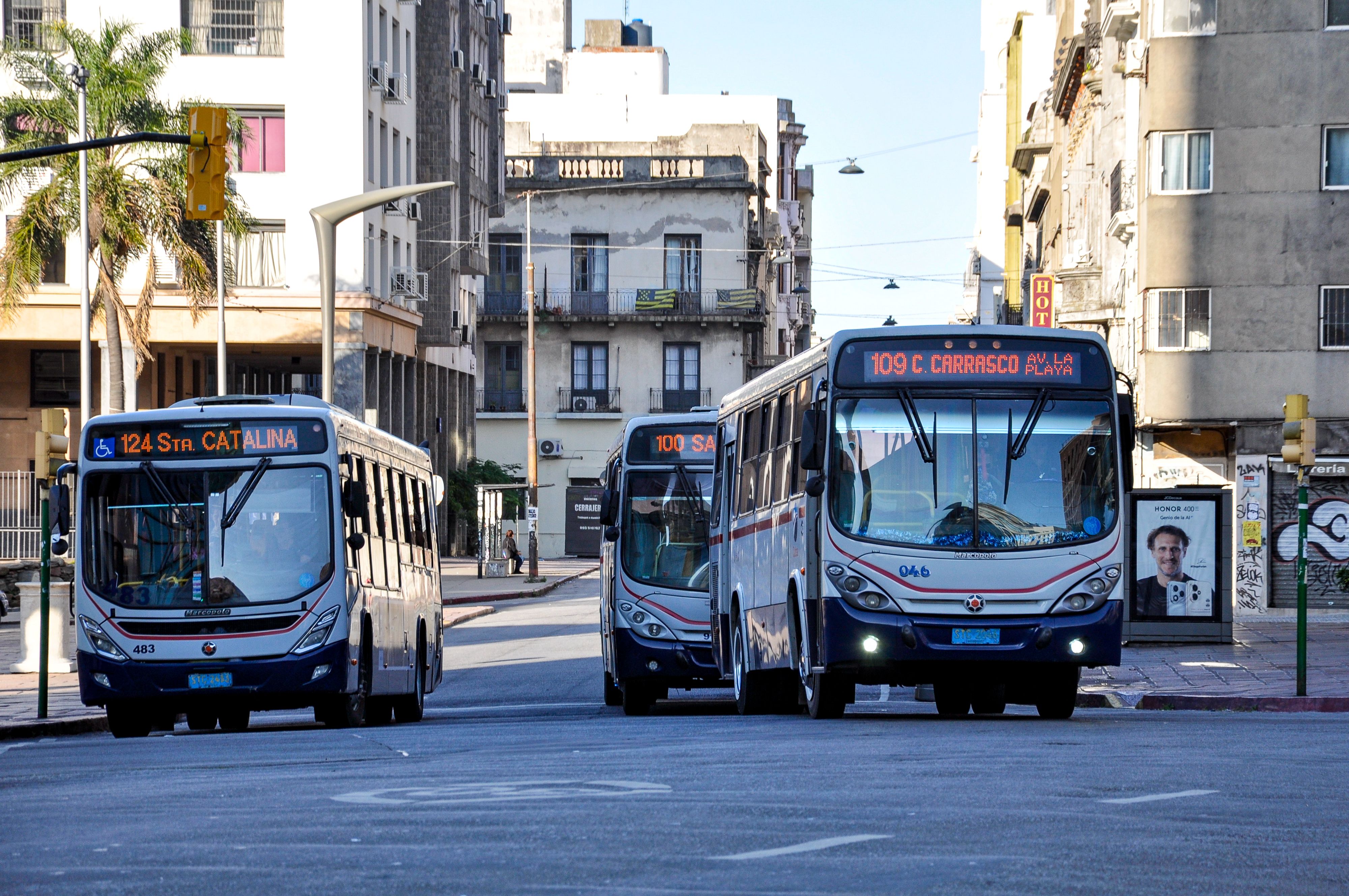 Public Buses on Montevideo City Street · Free Stock Photo