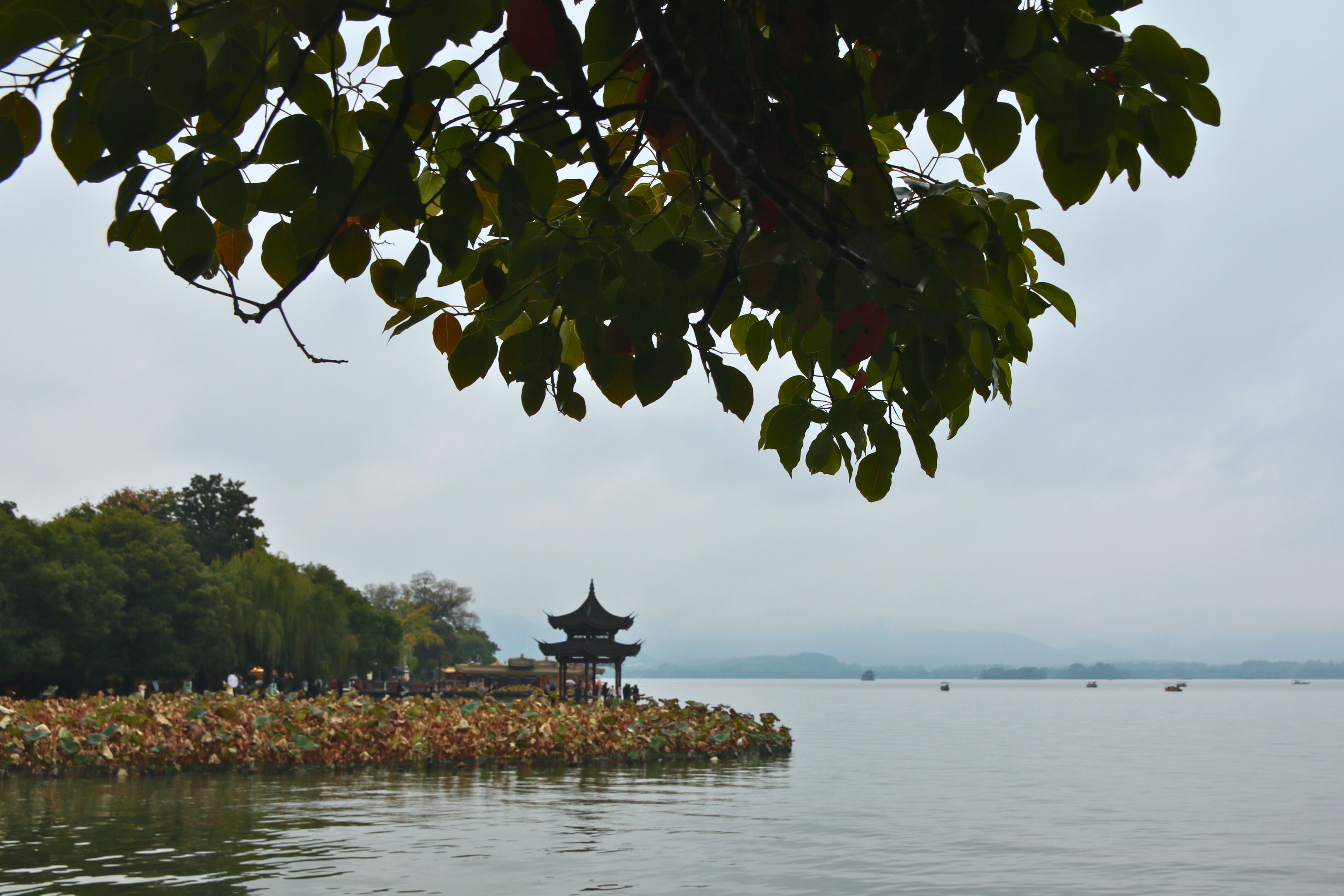 Scenic View of West Lake with Pagoda in Hangzhou · Free Stock Photo