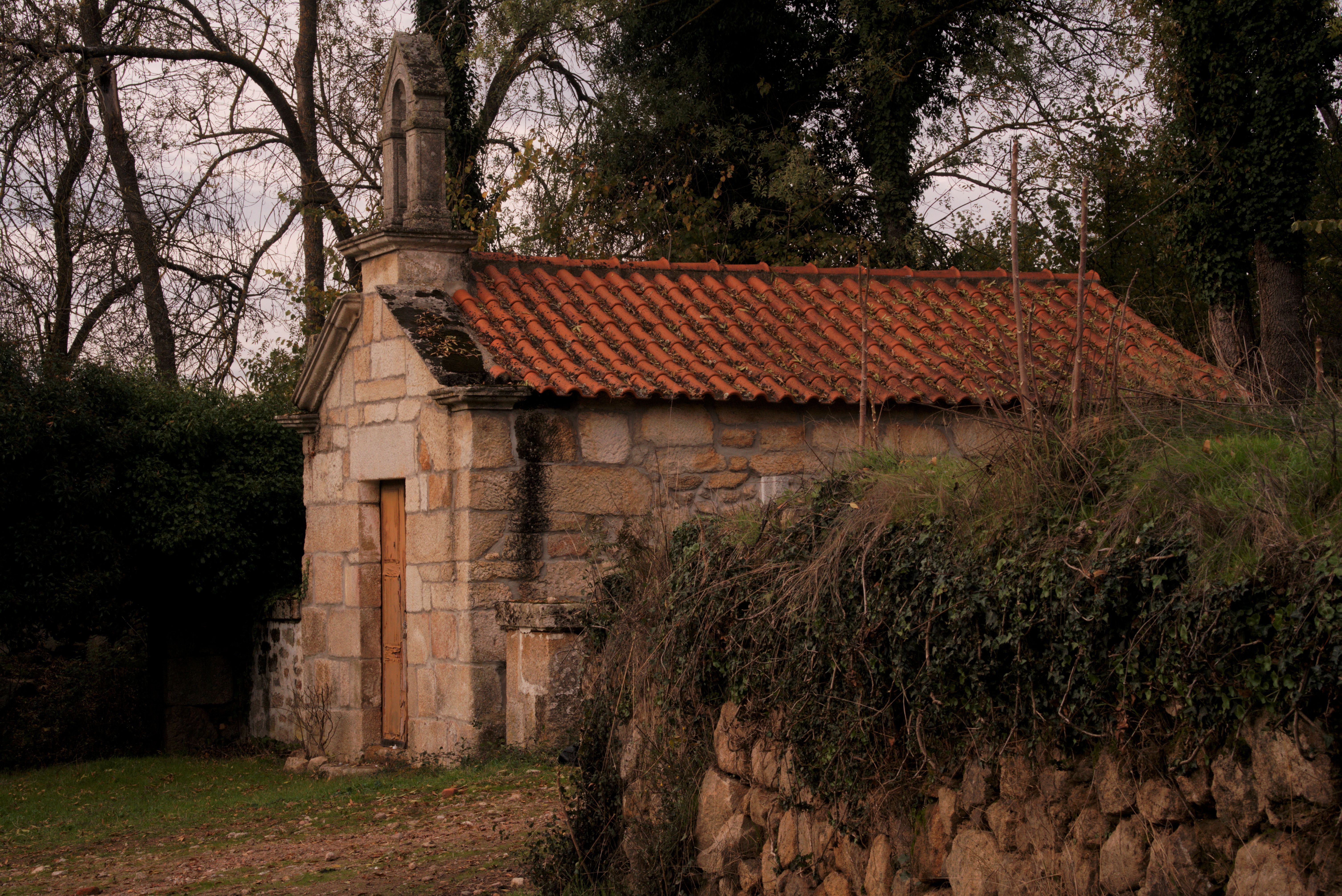 Rustic Stone Chapel Amidst Lush Woodland · Free Stock Photo