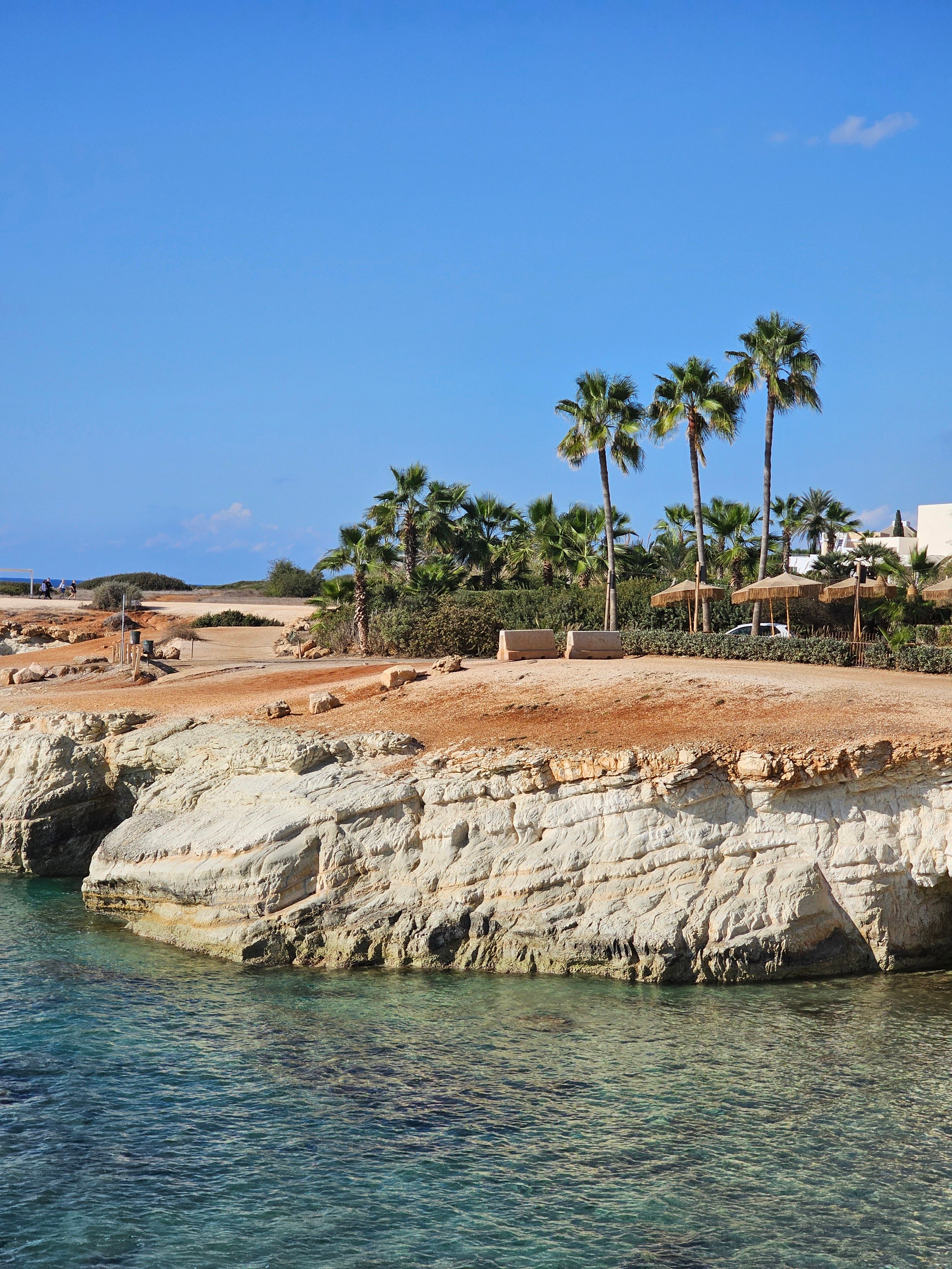 Scenic Coastal View with Palm Trees and Cliffs · Free Stock Photo