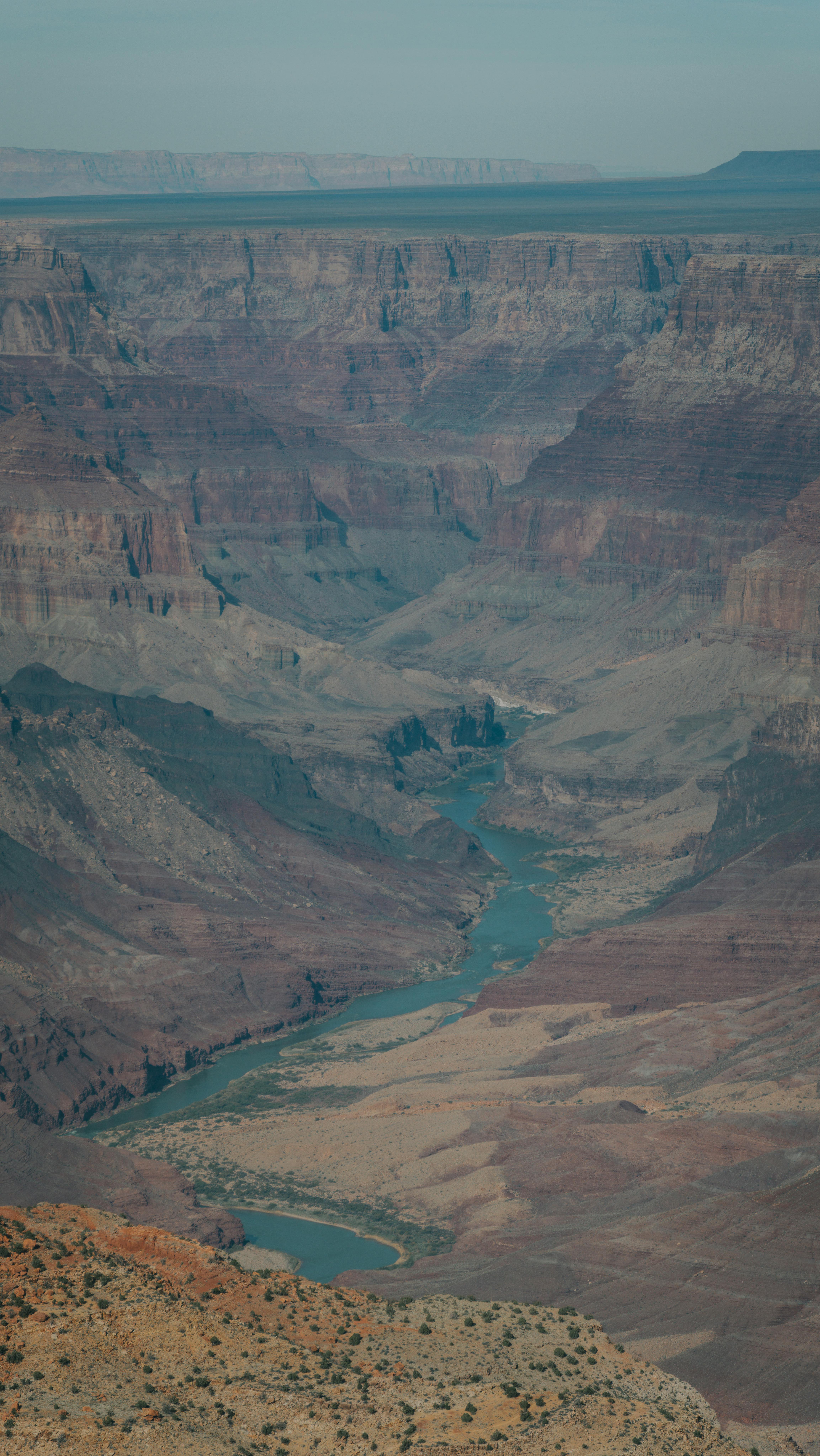 Sukuna Domain Expansion 8k Wallpaper Photos, Download The BEST Free ...