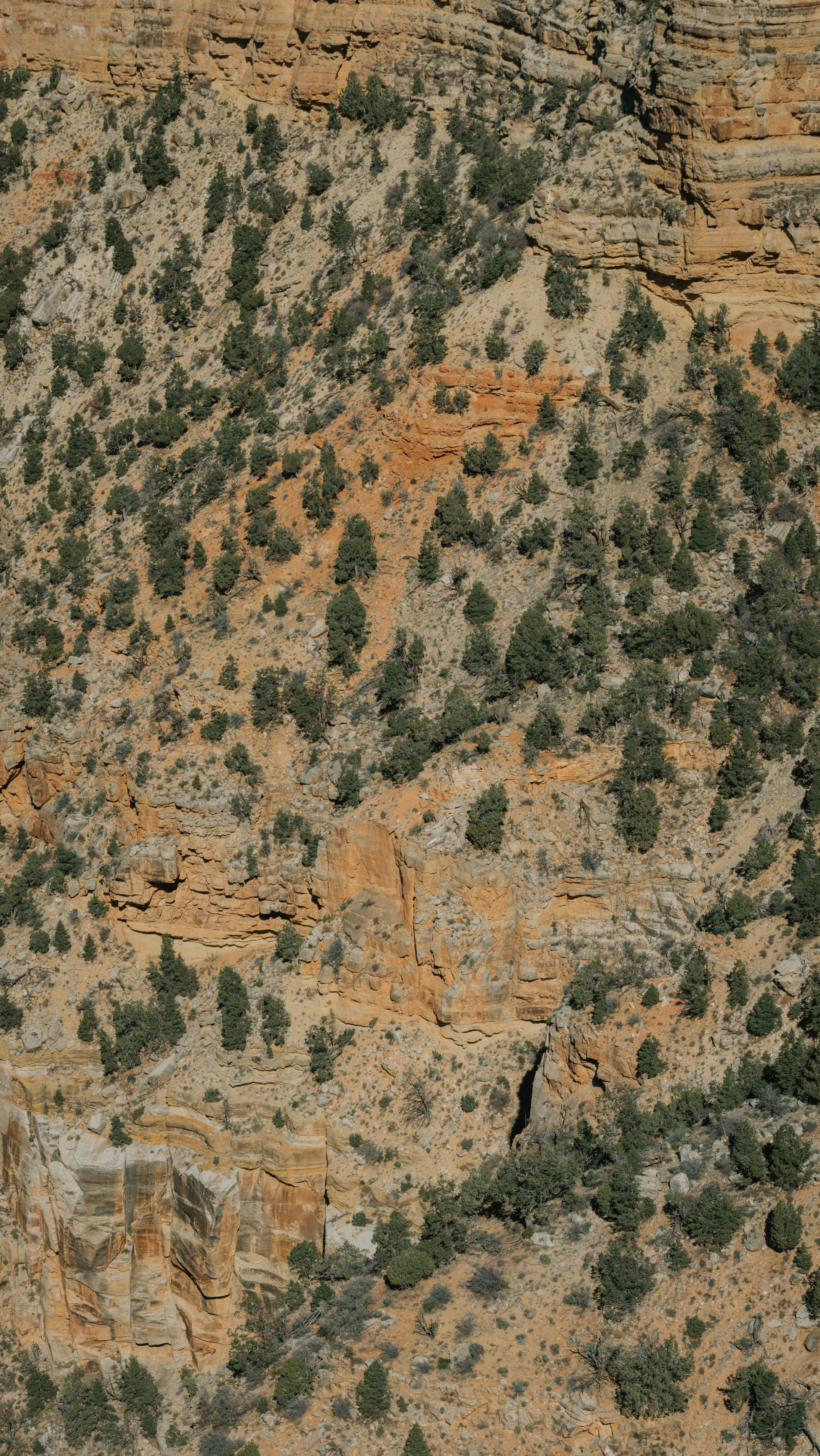 8k Wallpaper Movies And Shows Photos, Download The BEST Free 8k ...