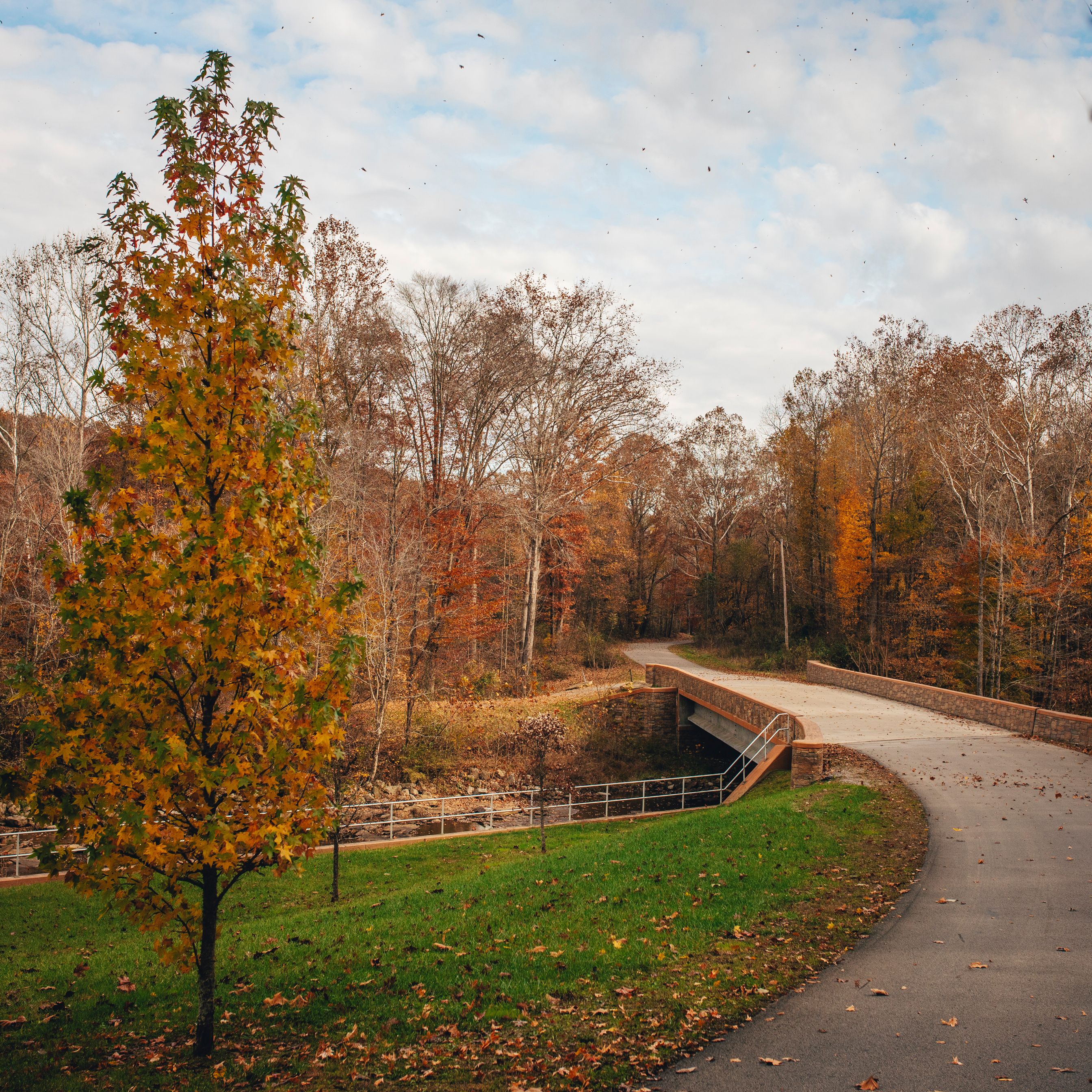 Scenic Autumn View of Forest Pathway in Ohio · Free Stock Photo