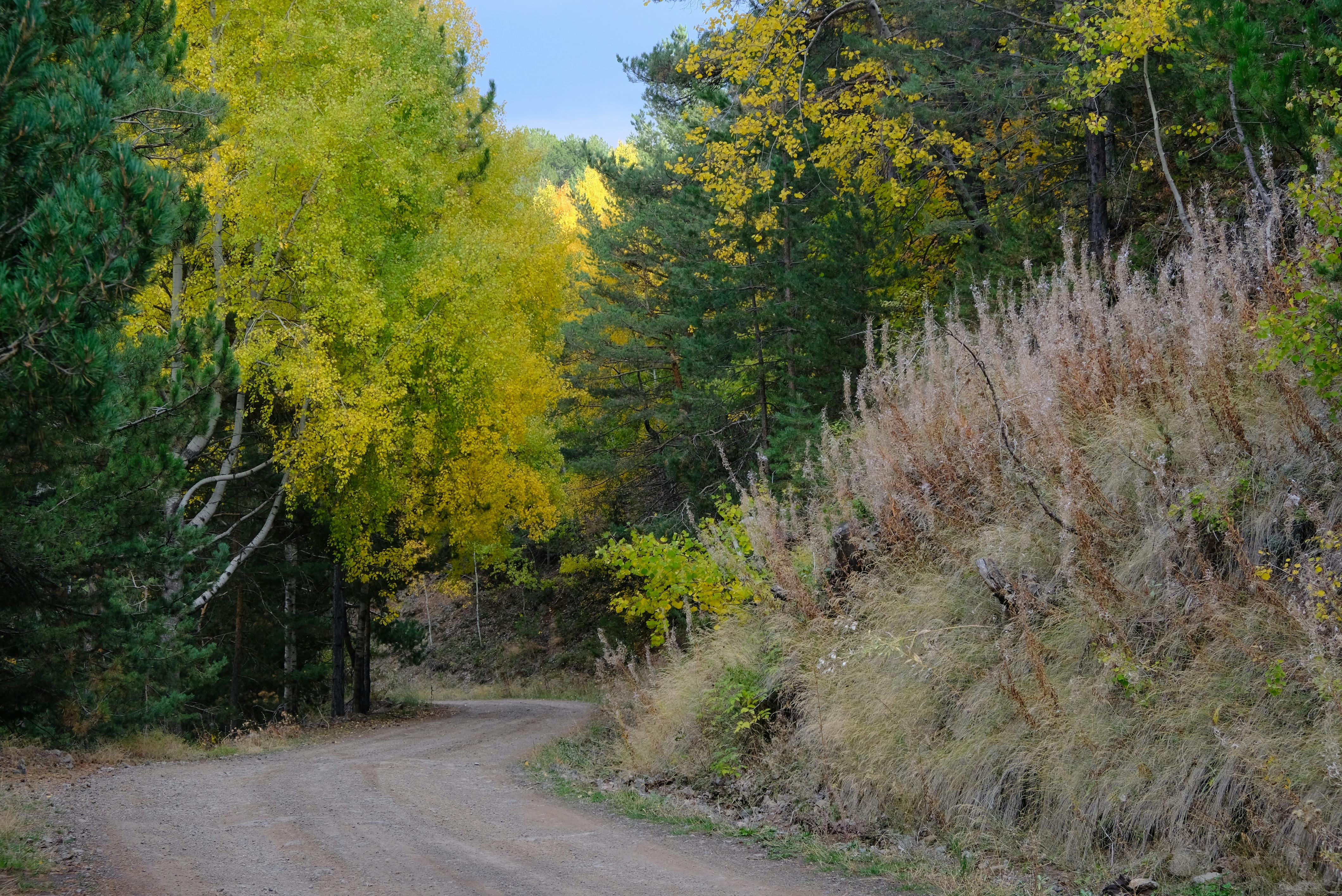 Peeping+Holes+Ukdevilz Photos, Download The BEST Free Peeping+Holes ...