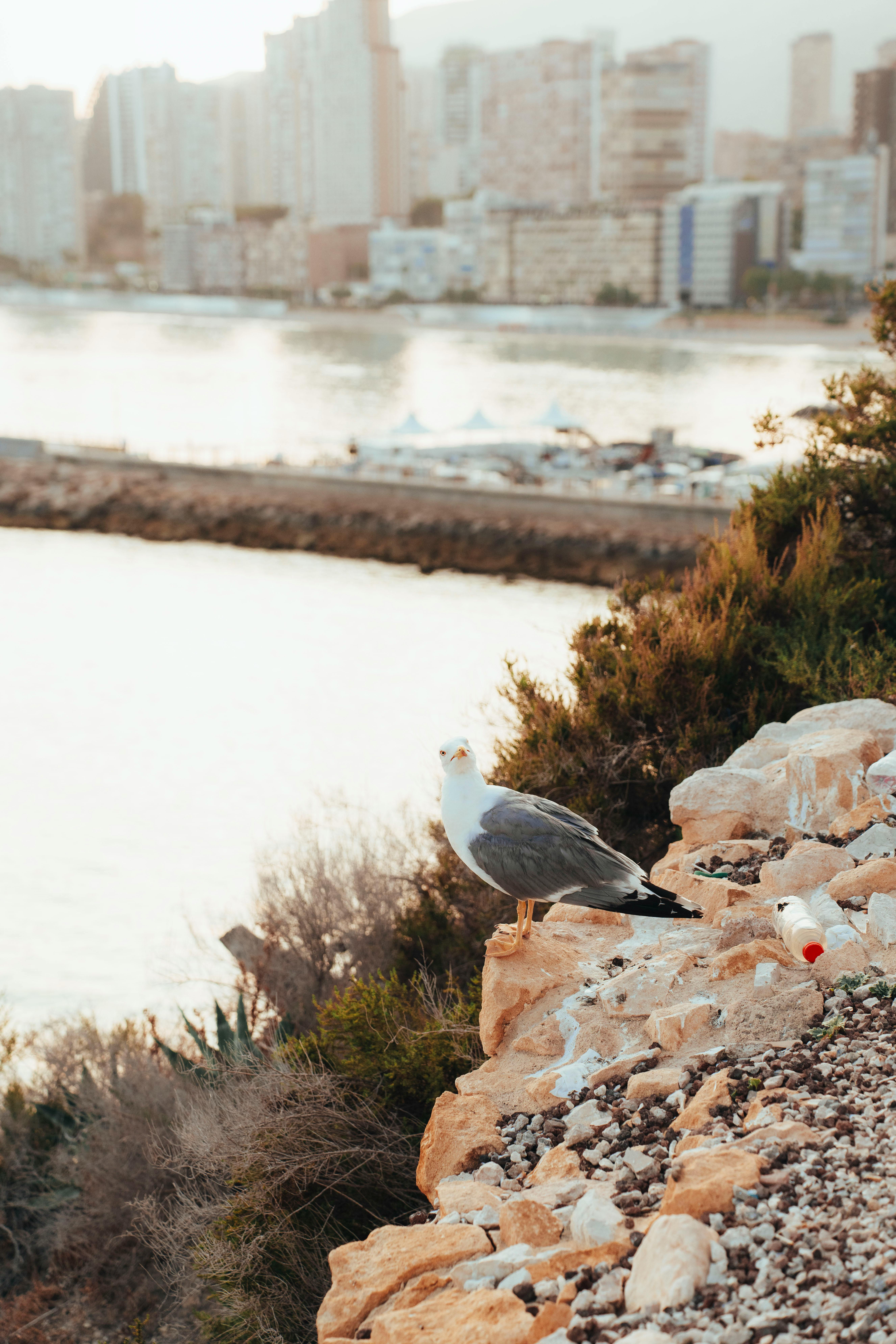 Noise Pollution Sanayiindustrial Noise Pollution Photos, Download The ...