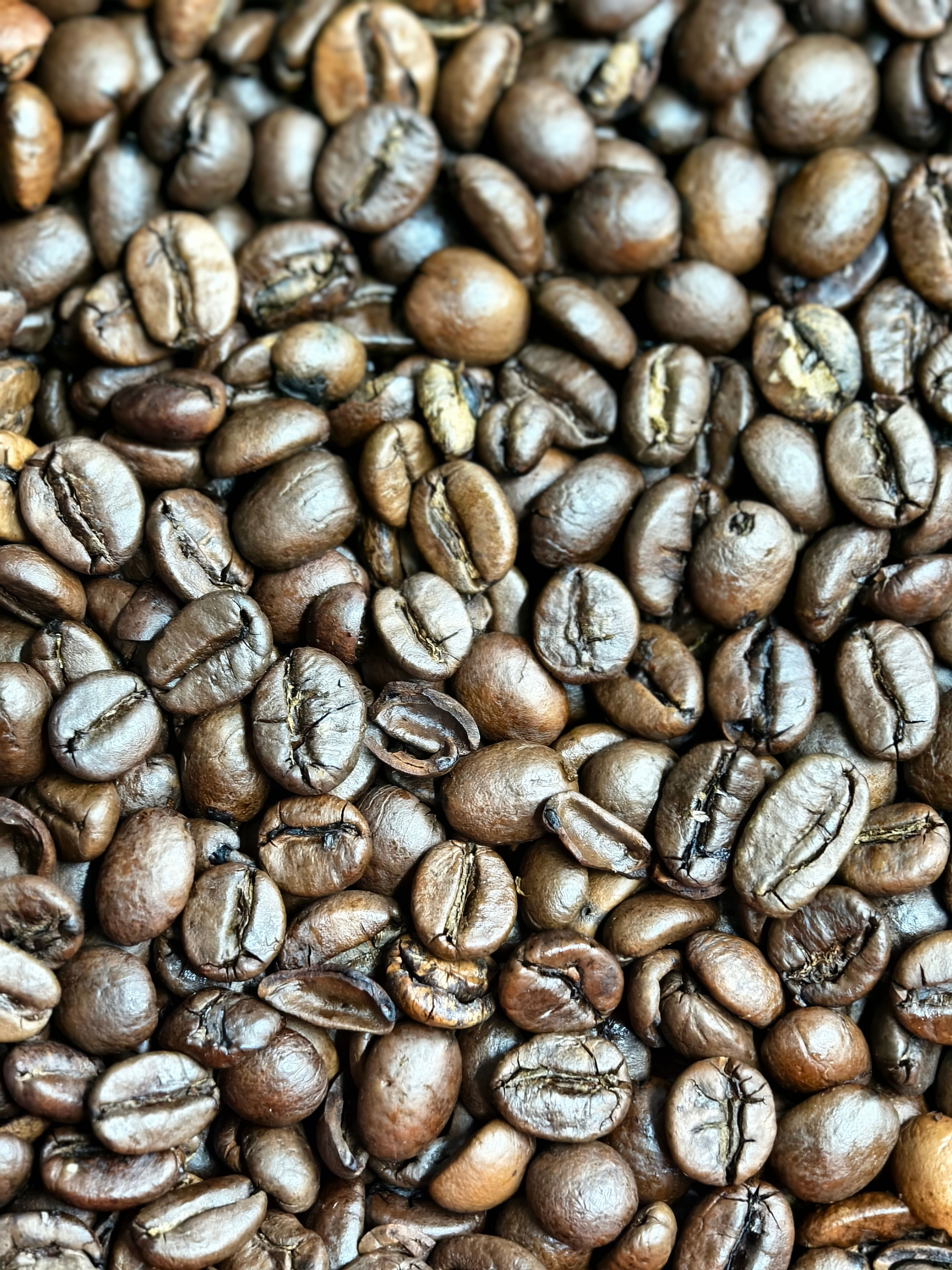 Pring Grind Photos, Download The BEST Free Pring Grind Stock Photos ...