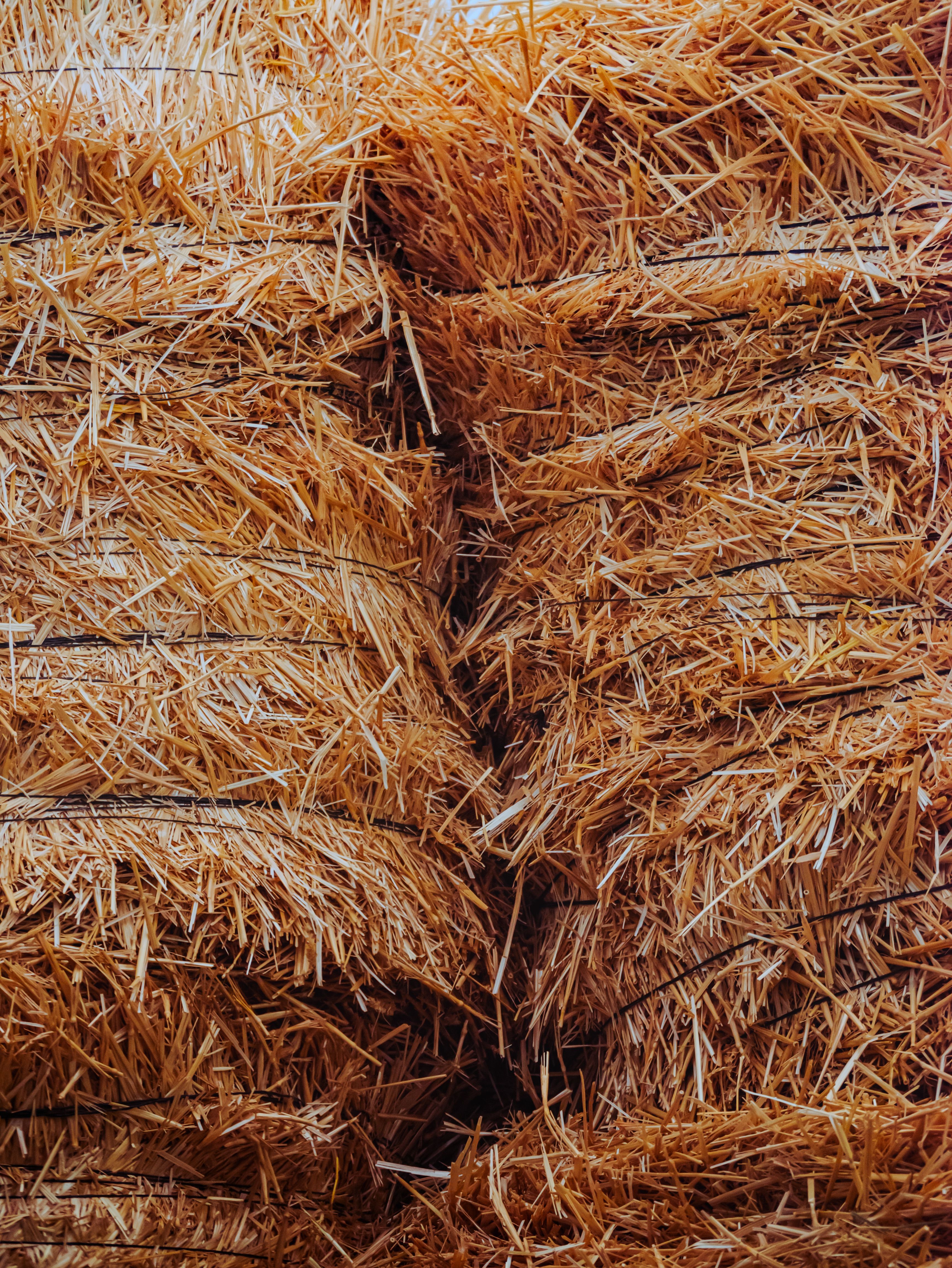 Close-up of Stacked Straw Bales in Autumn Light · Free Stock Photo