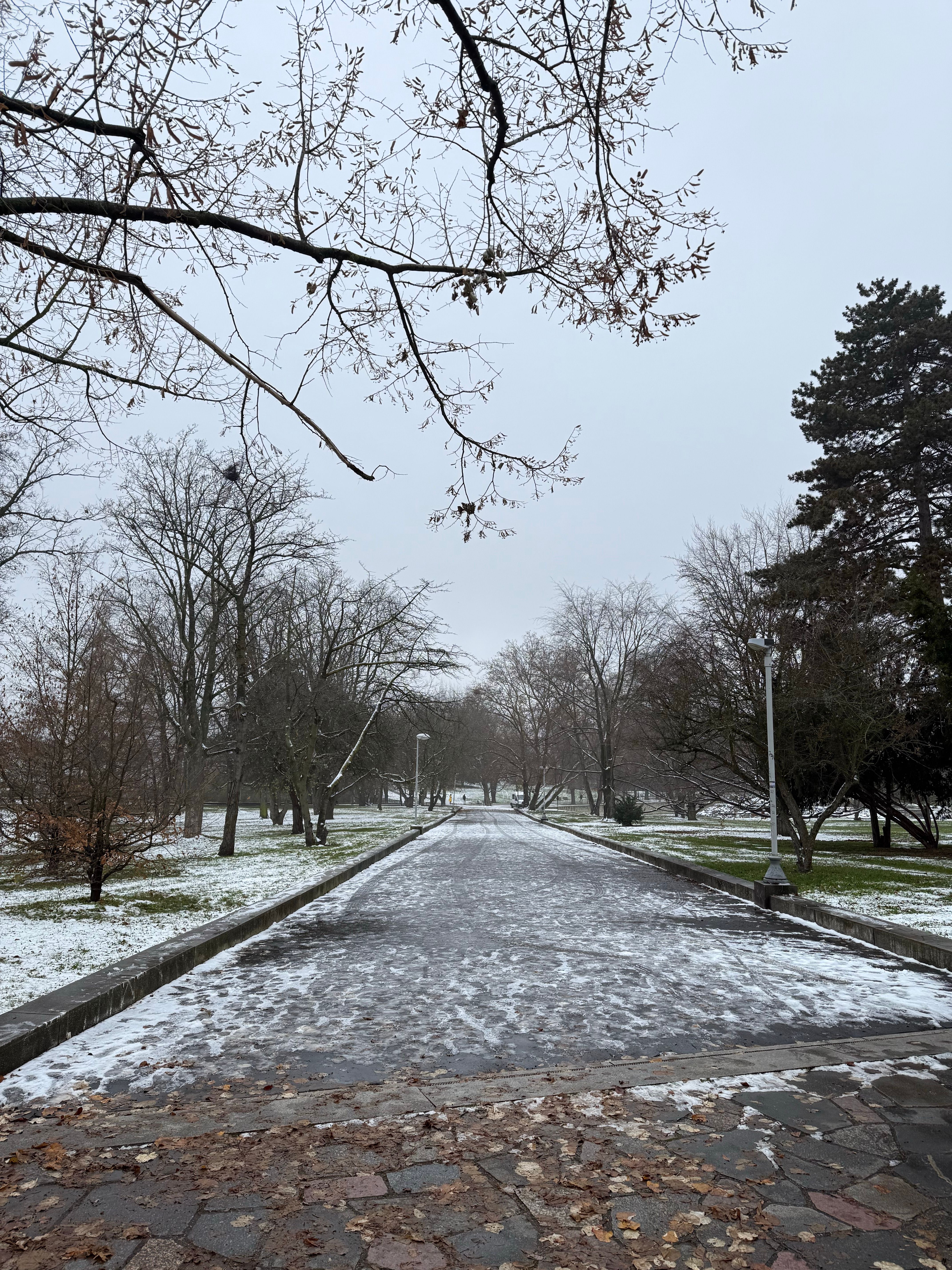 Snow-Covered Pathway in Birmingham, Alabama · Free Stock Photo