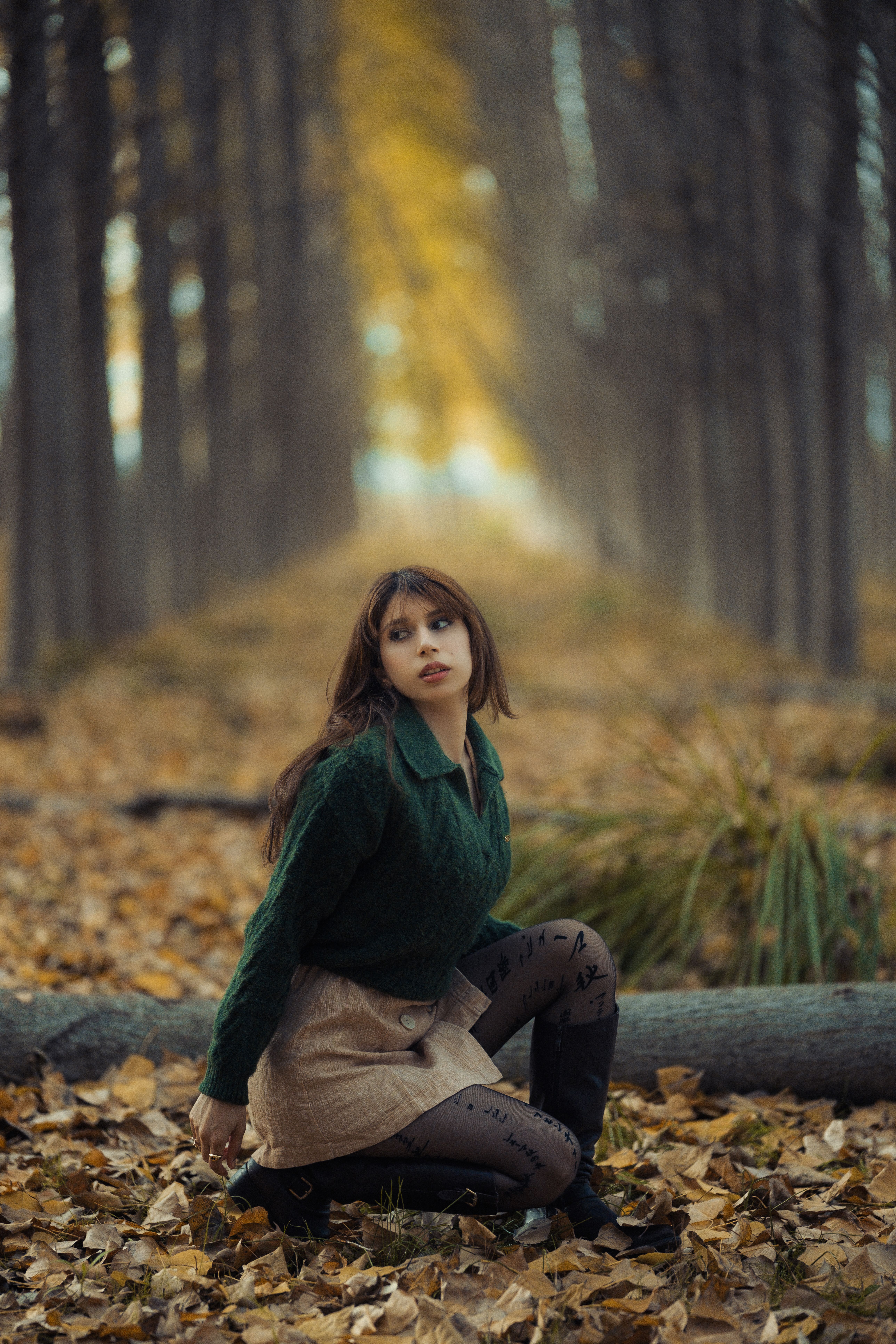 Young Woman in Fall Forest Setting · Free Stock Photo