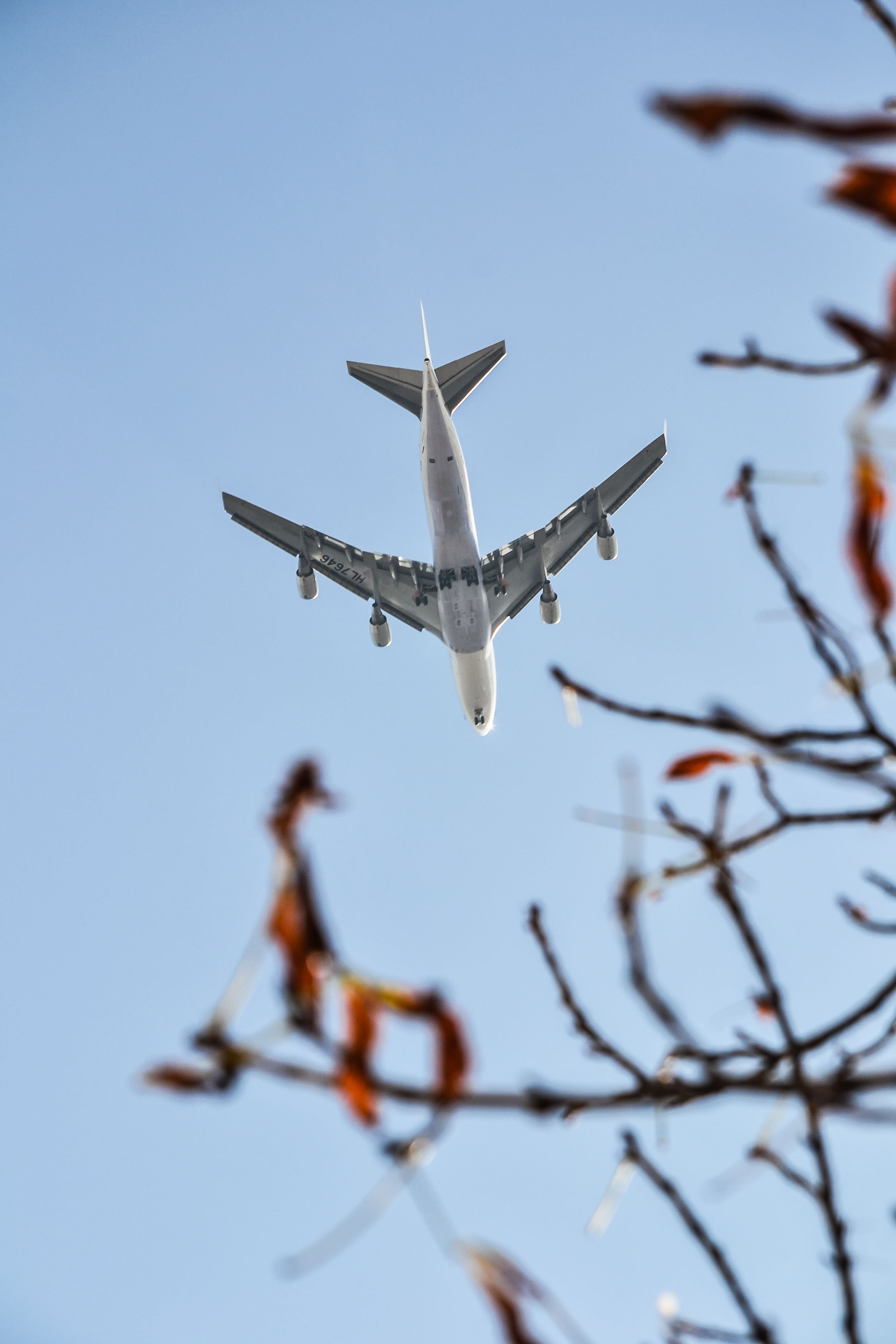 Airplane Flying Above Autumn Trees in Vienna · Free Stock Photo
