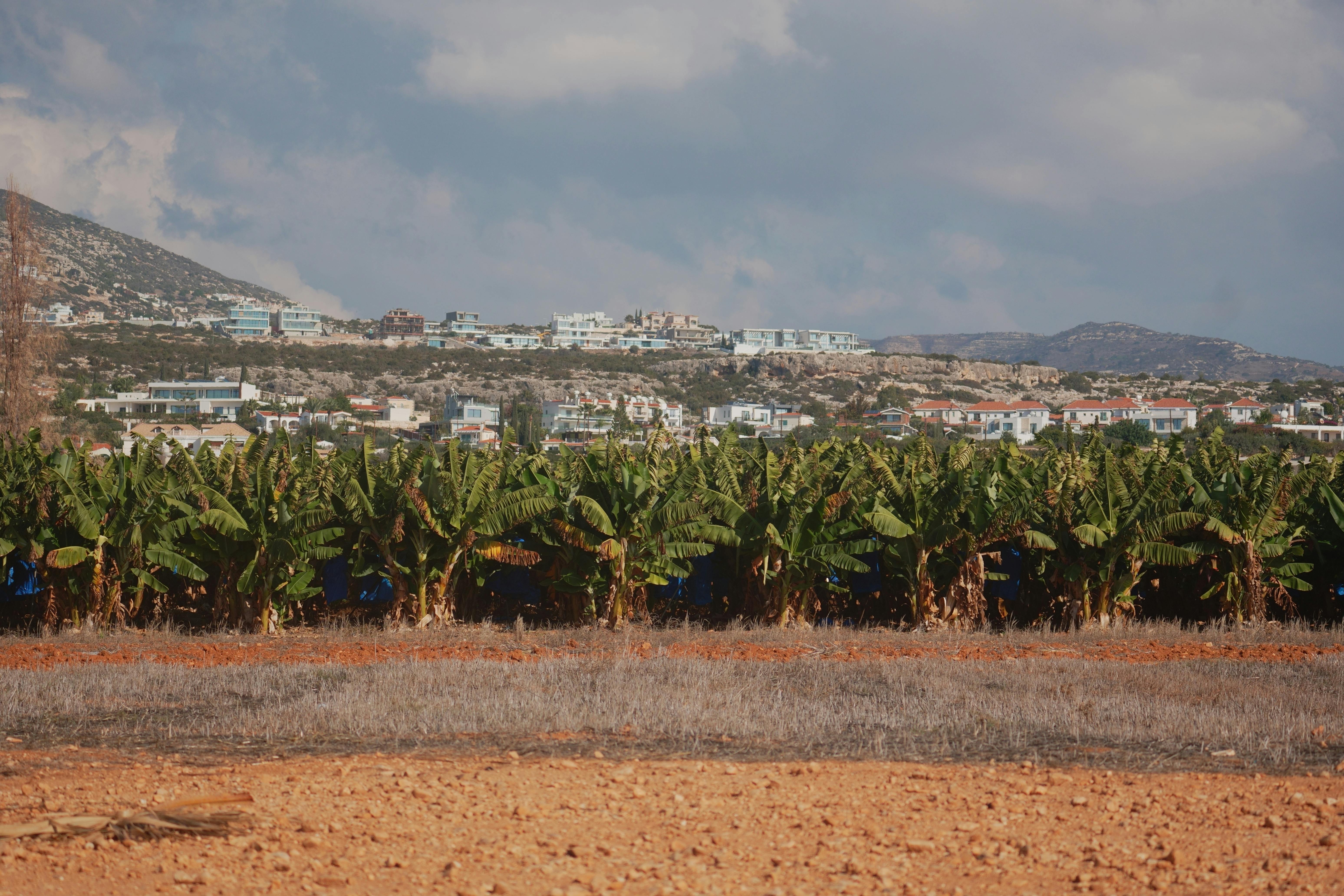 Foto de stock gratuita sobre @al aire libre, agrícola, agricultura ...