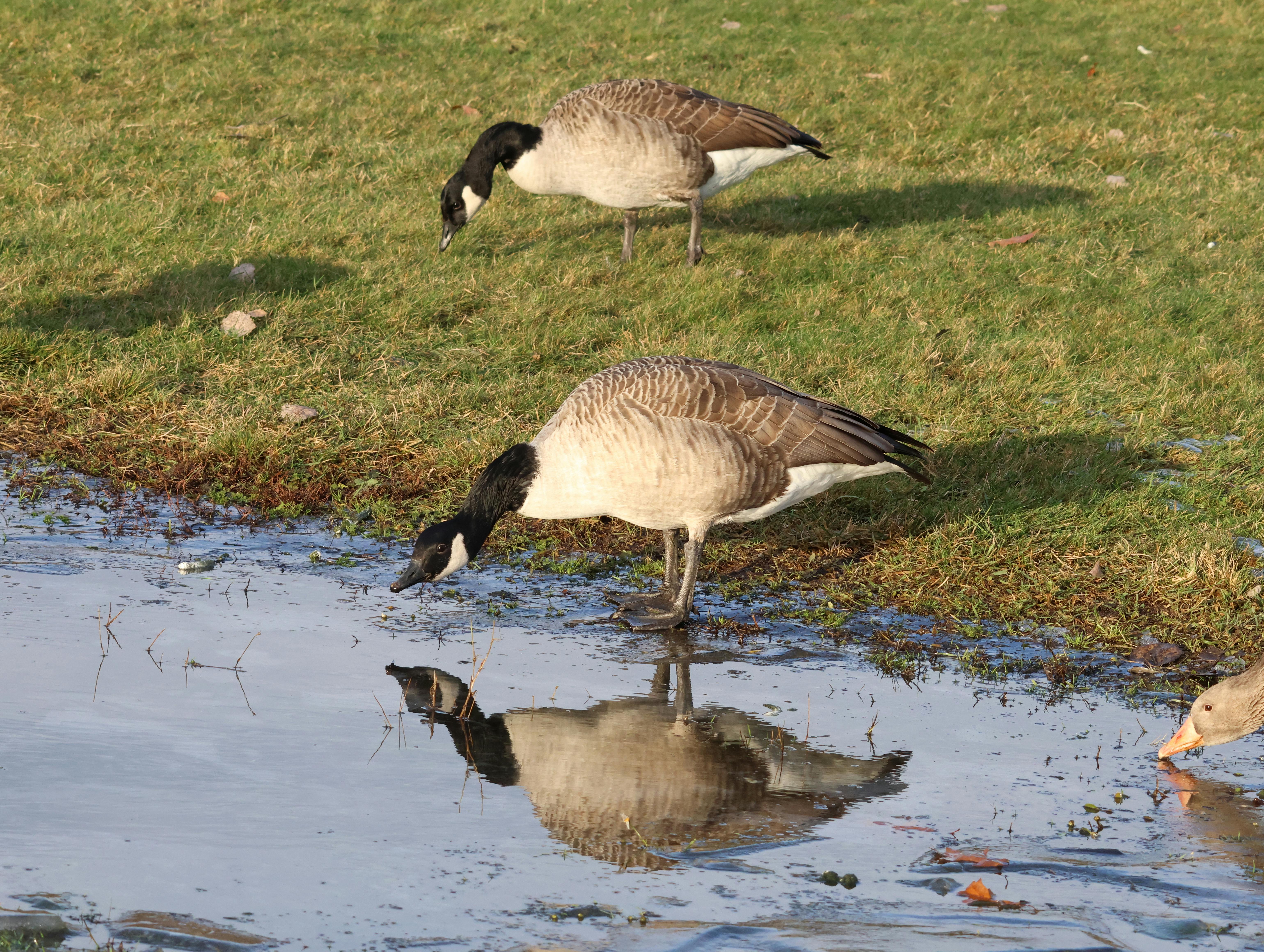 20.000+ Avatar-related+stocks Bilder und Fotos · Kostenlos Downloaden ...