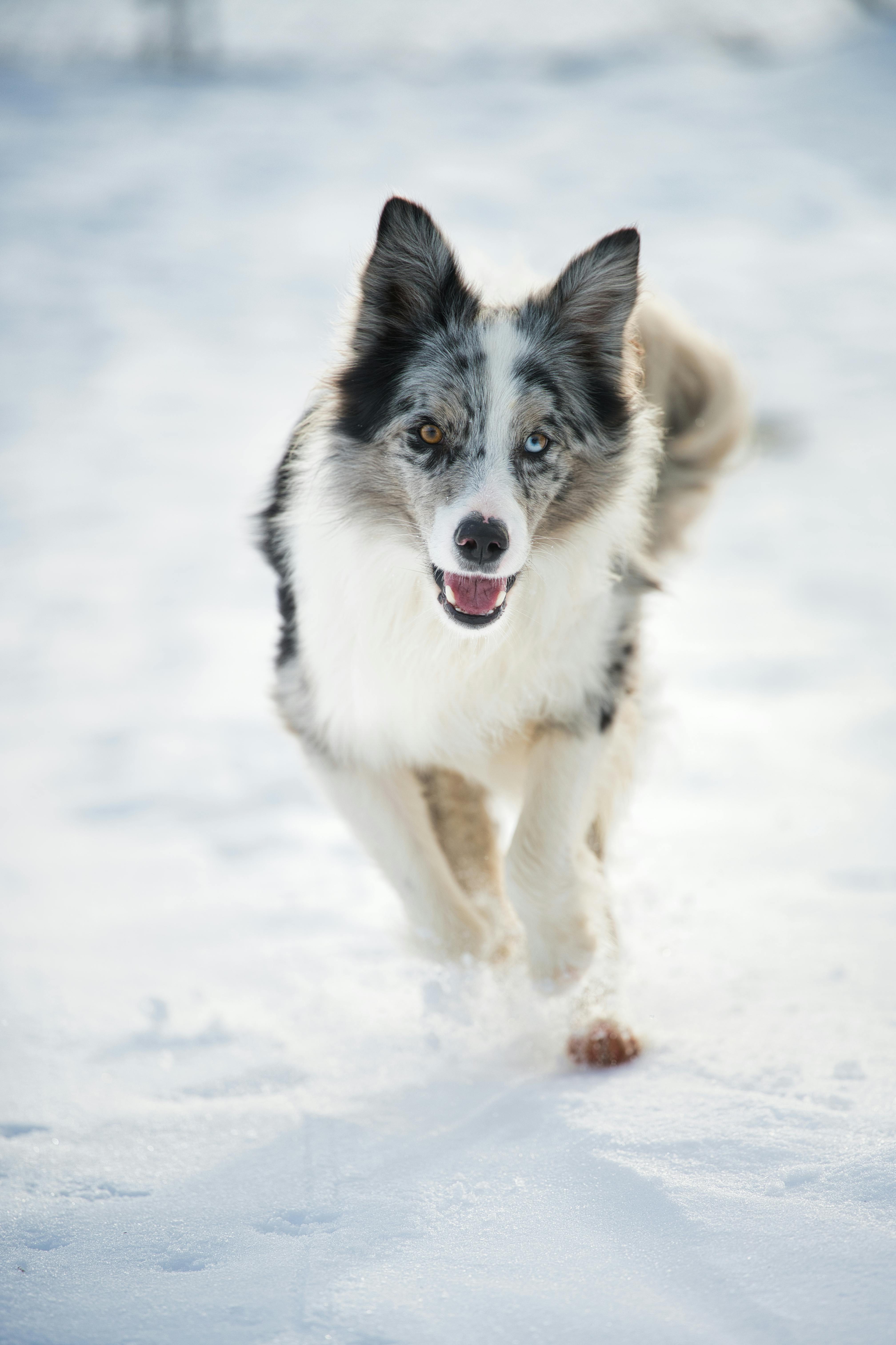 Imgrsc.Ru+Landscape Photos, Download The BEST Free Imgrsc.Ru+Landscape ...