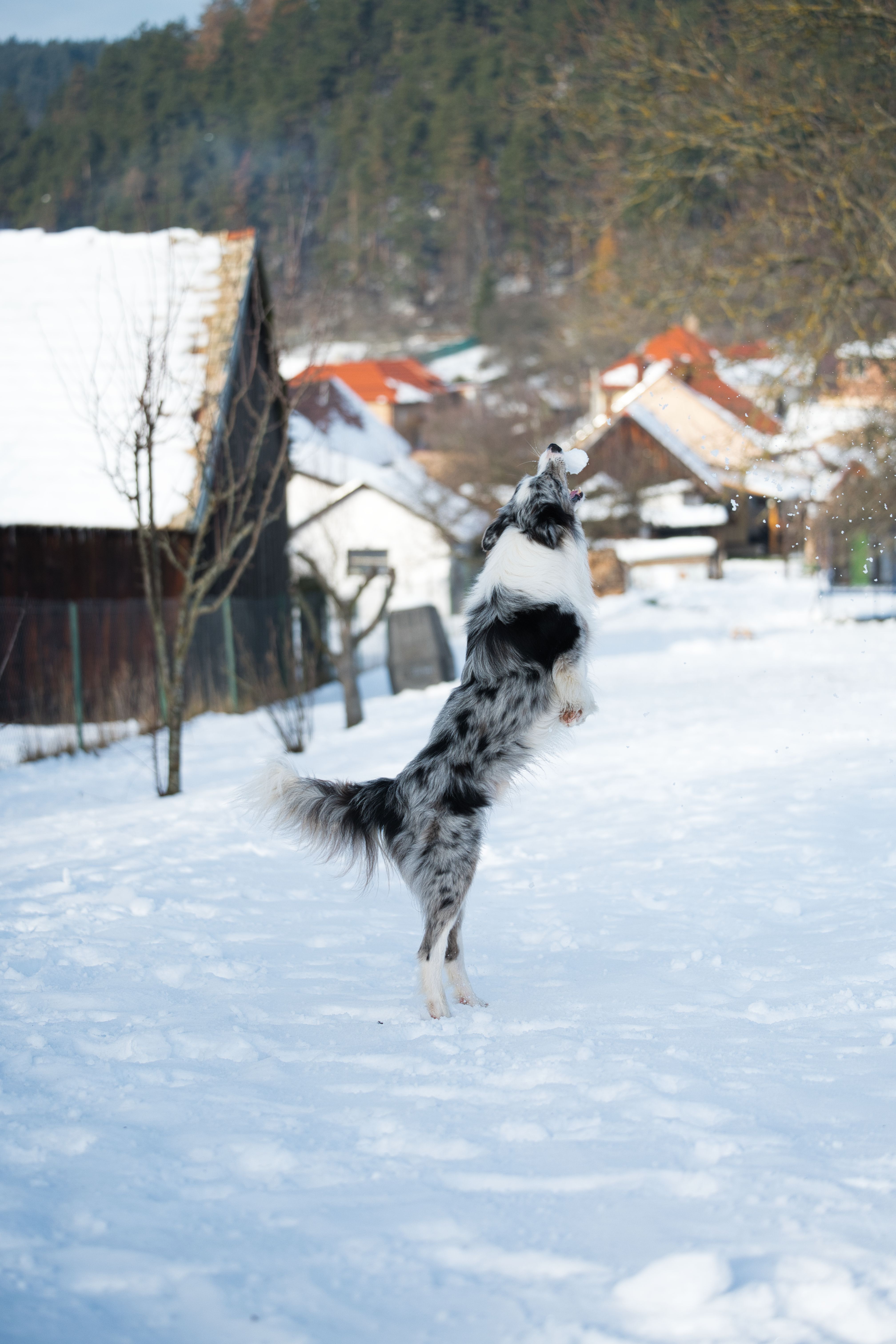 Normal Village Photos, Download The BEST Free Normal Village Stock ...