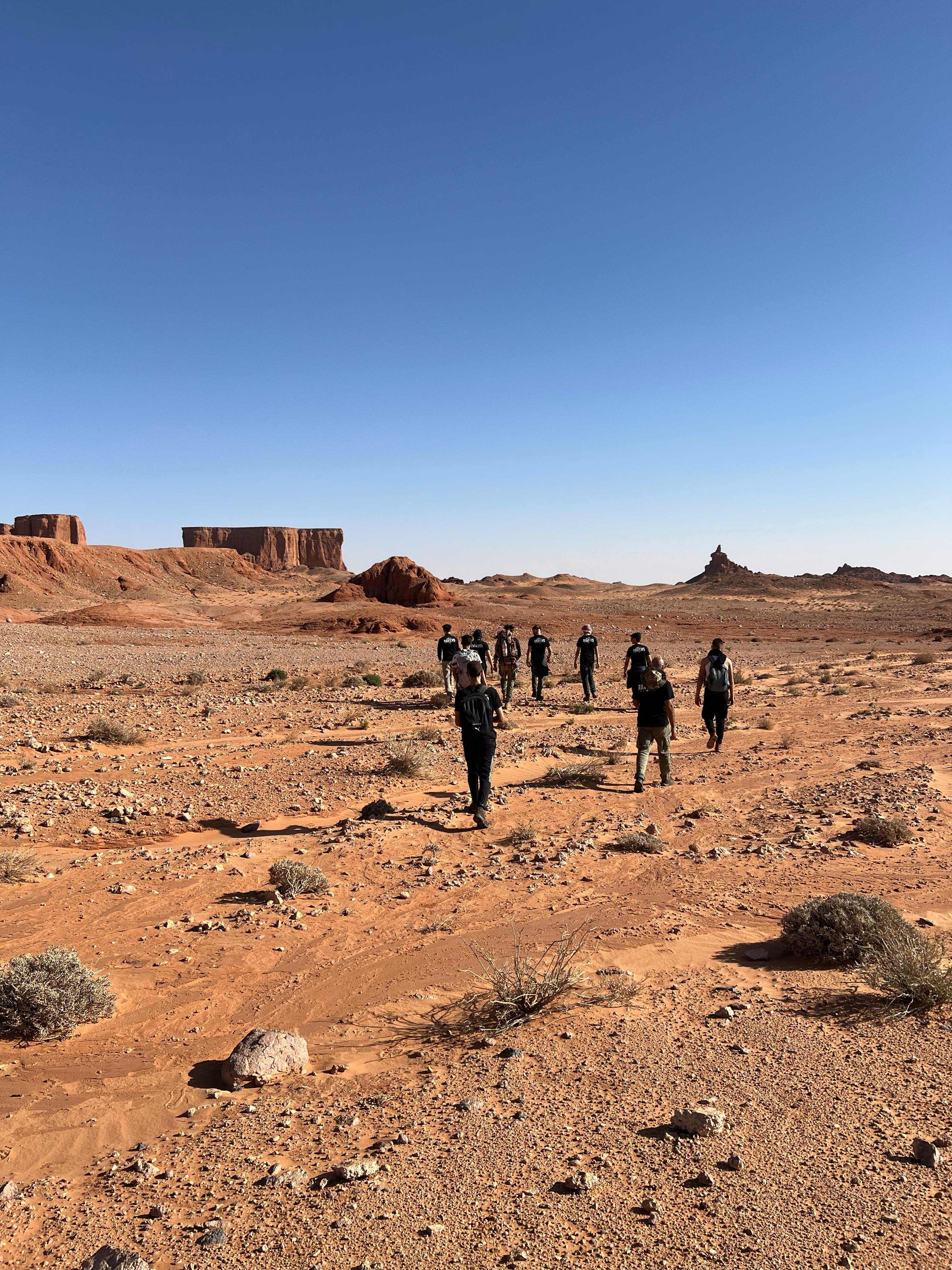 African+Mouse Photos, Download The BEST Free African+Mouse Stock Photos ...