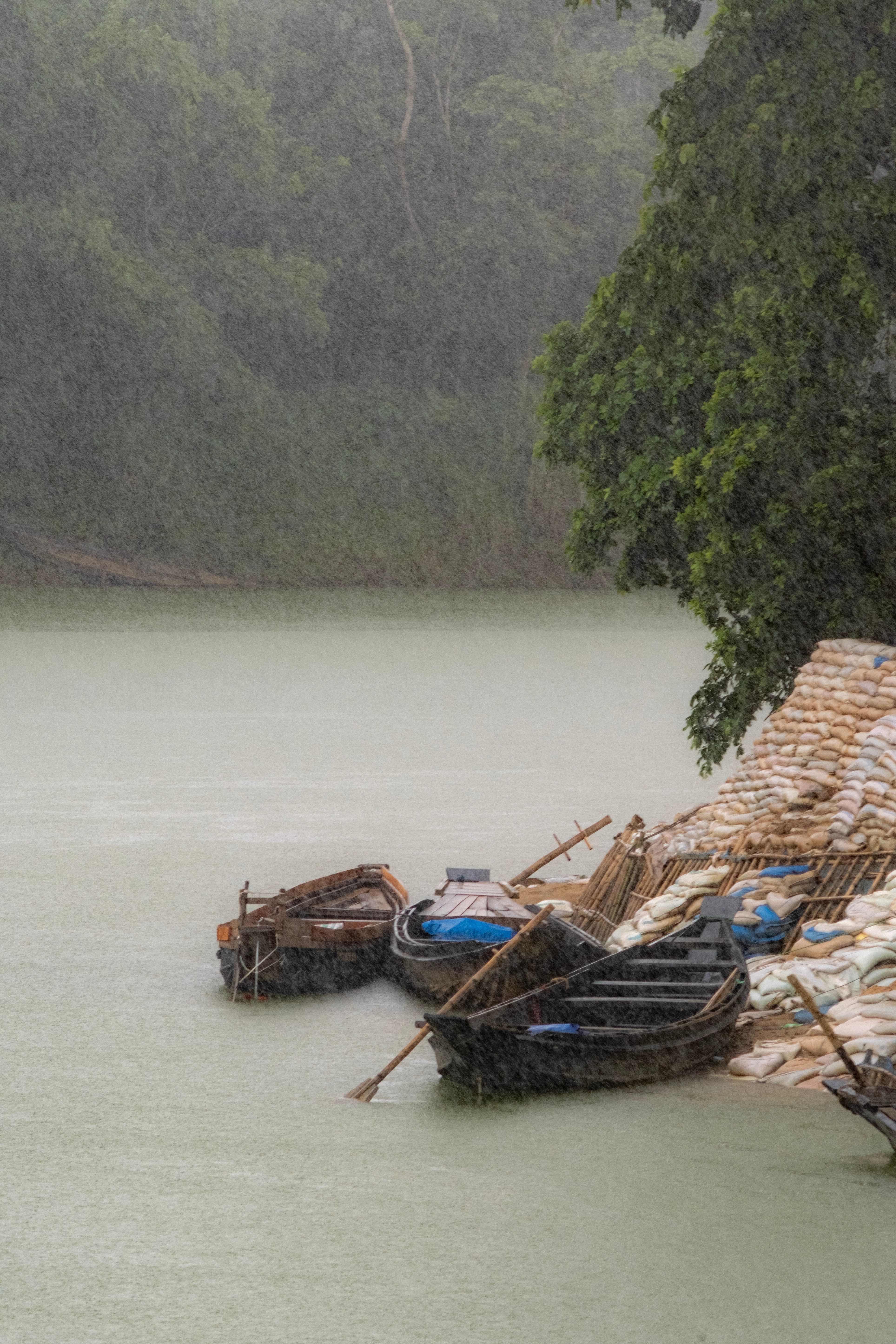 Rainy Climate Photos, Download The BEST Free Rainy Climate Stock Photos ...
