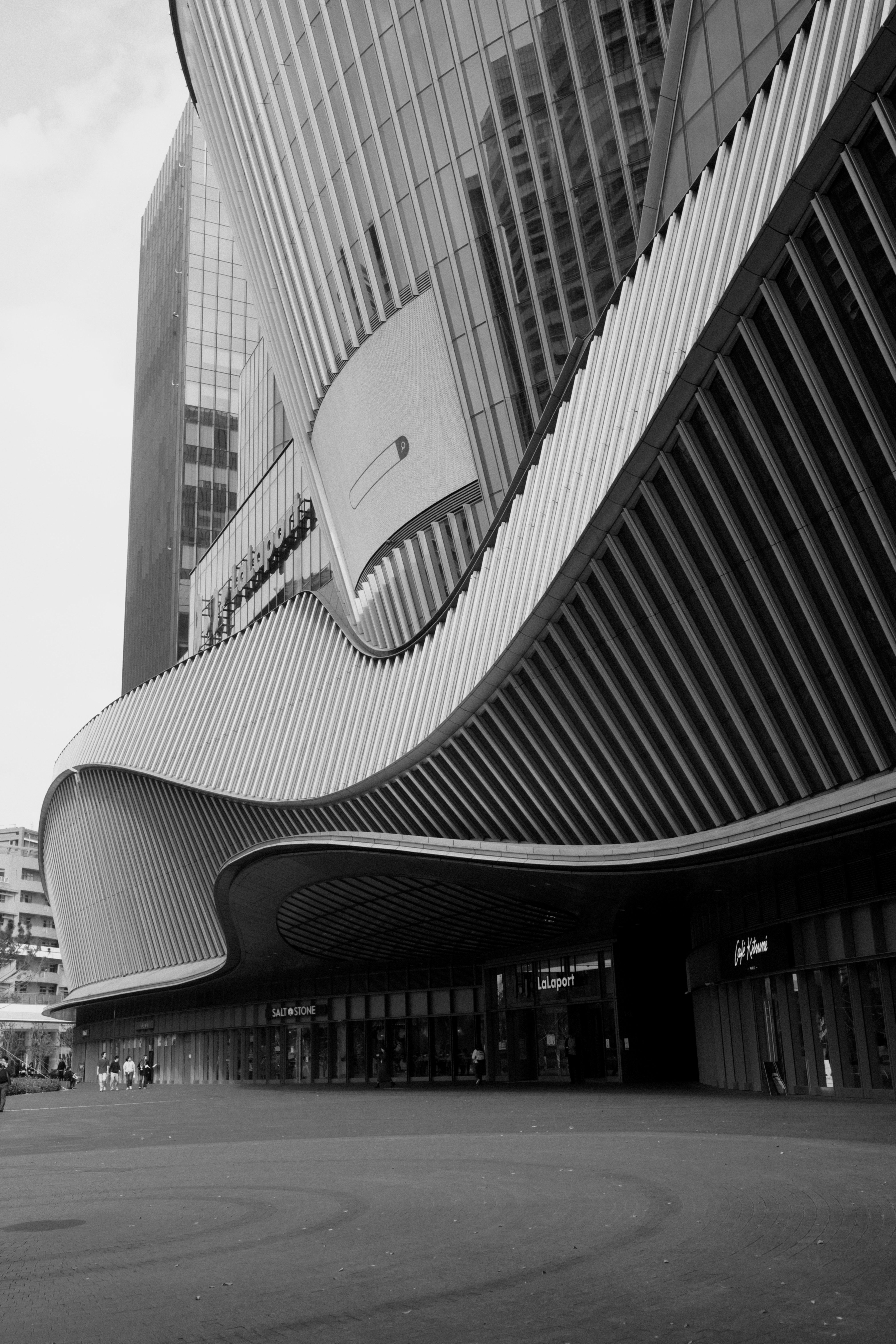 Modern Curved Architectural Design in Black and White · Free Stock Photo