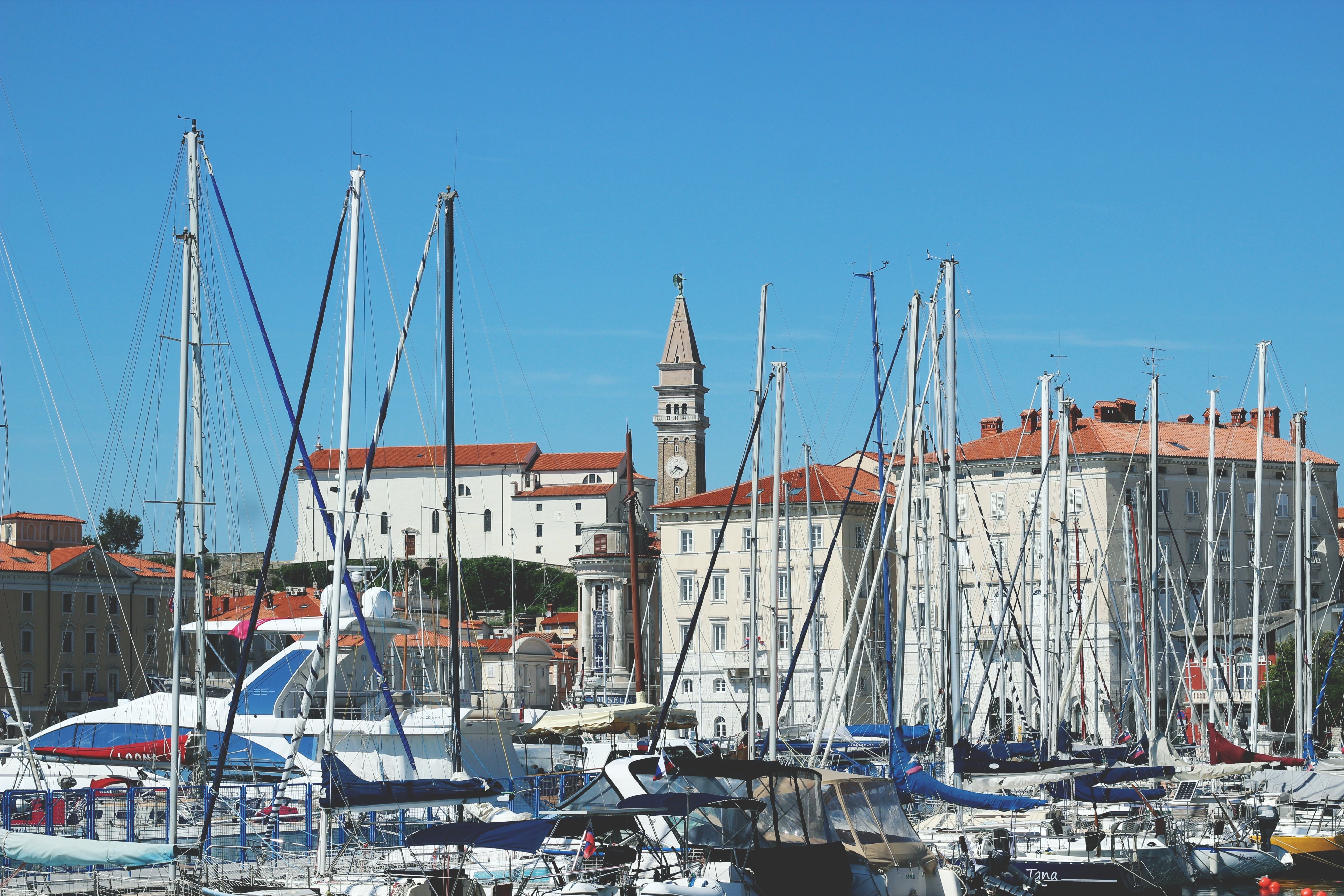 Vibrant Marina with Historic Architecture · Free Stock Photo