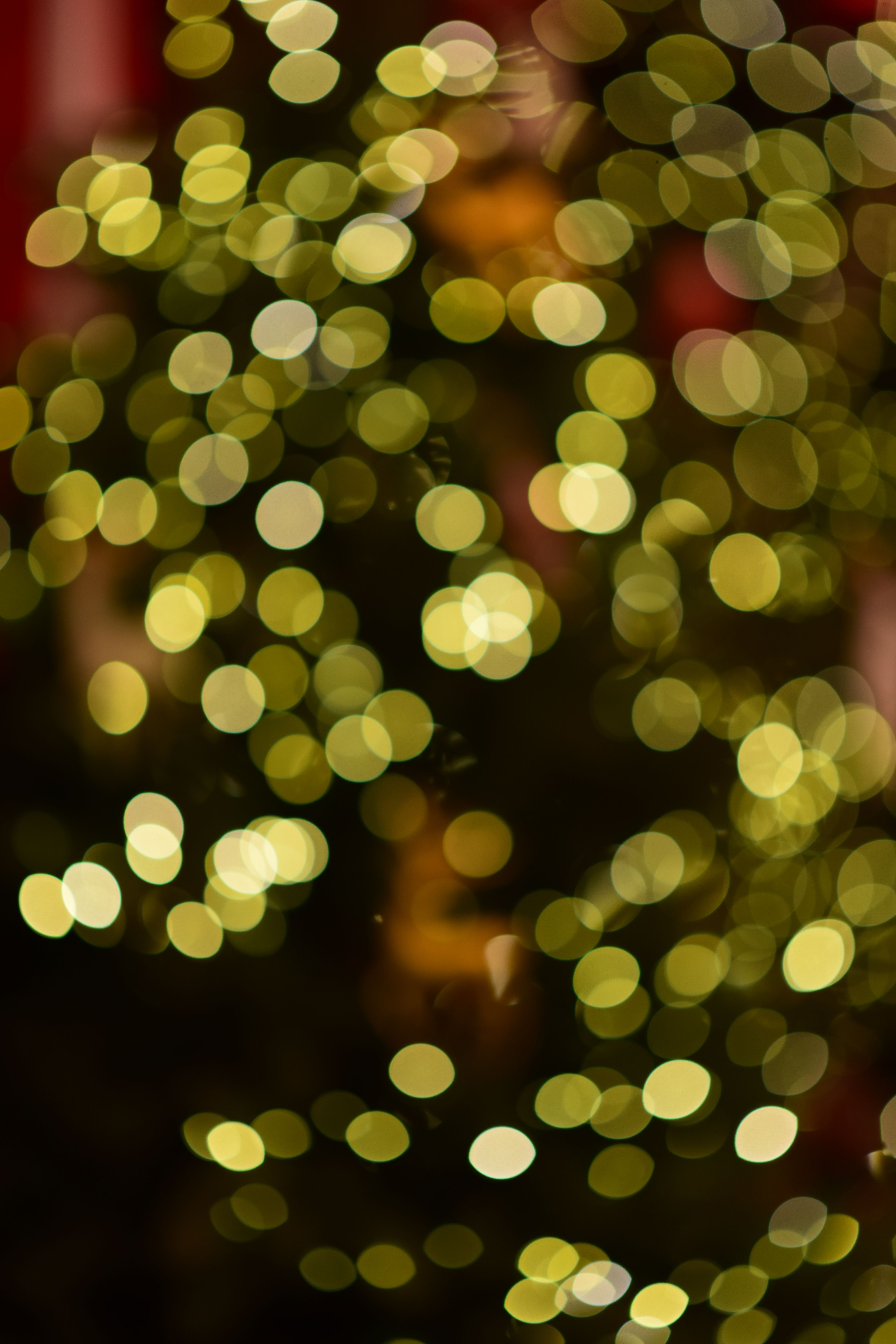 Festive Bokeh Lights of a Christmas Tree · Free Stock Photo