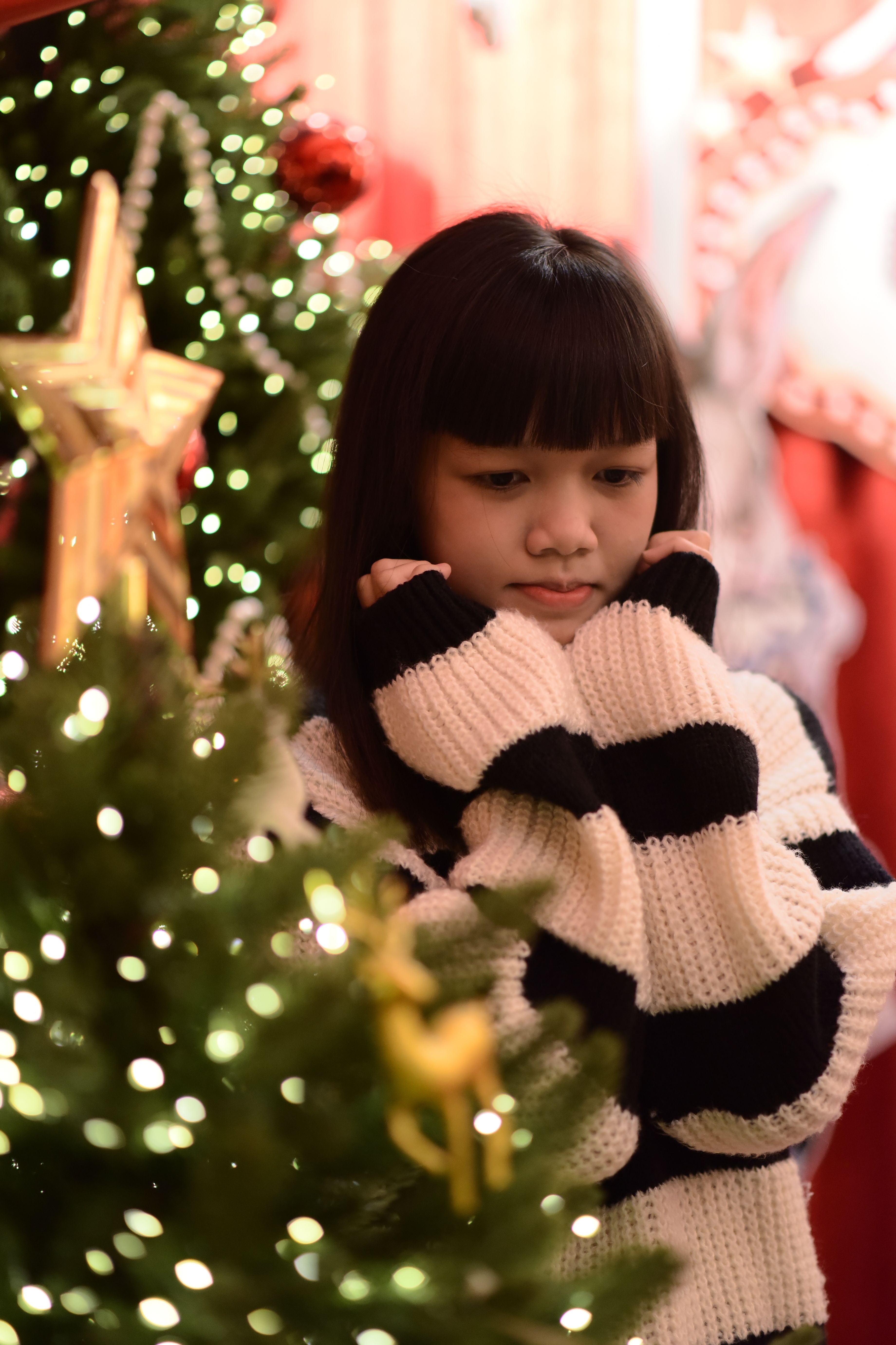Cozy Winter Indoor Scene with Young Woman · Free Stock Photo