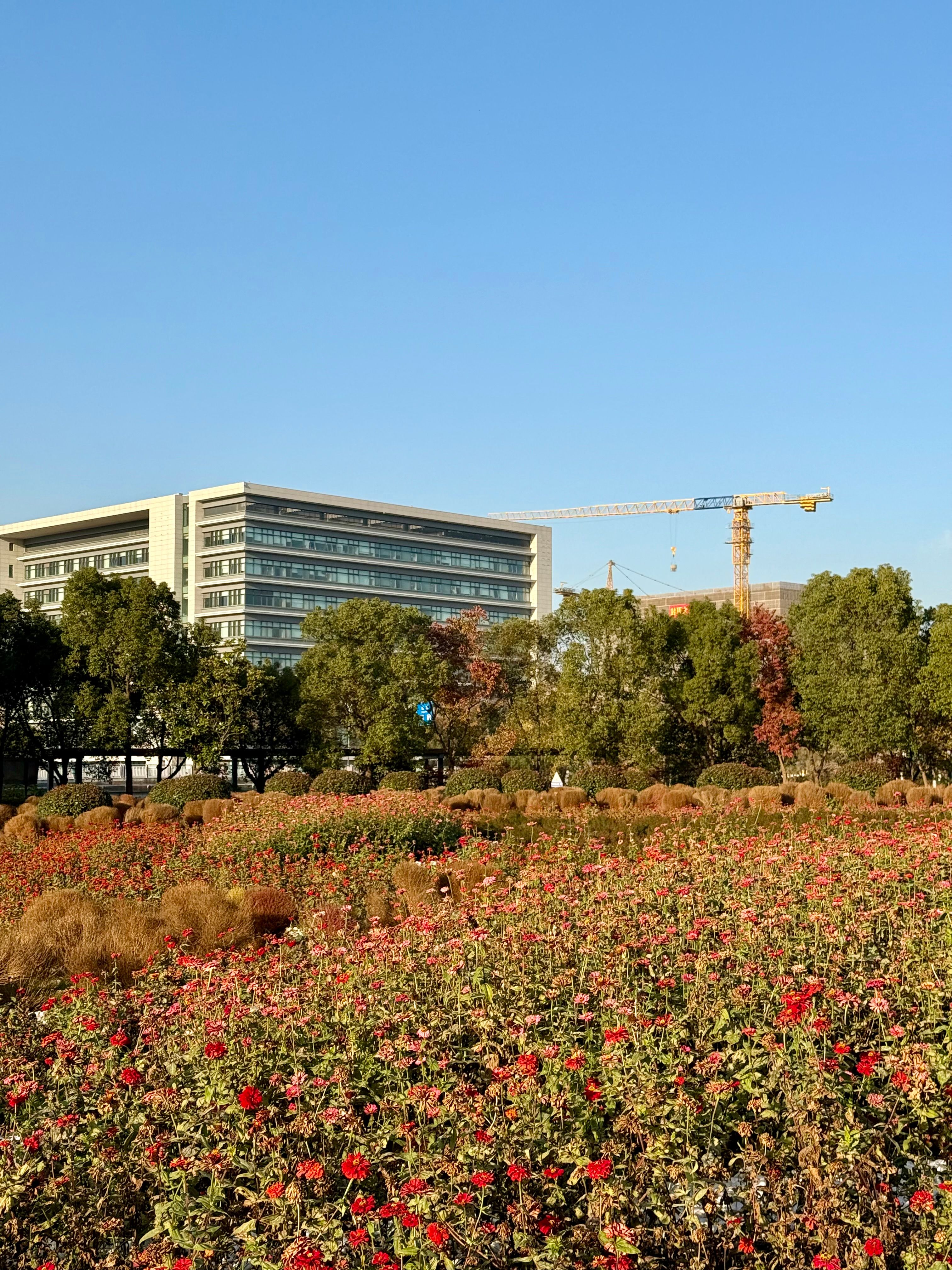 China Countryside Building Photos, Download The BEST Free China ...