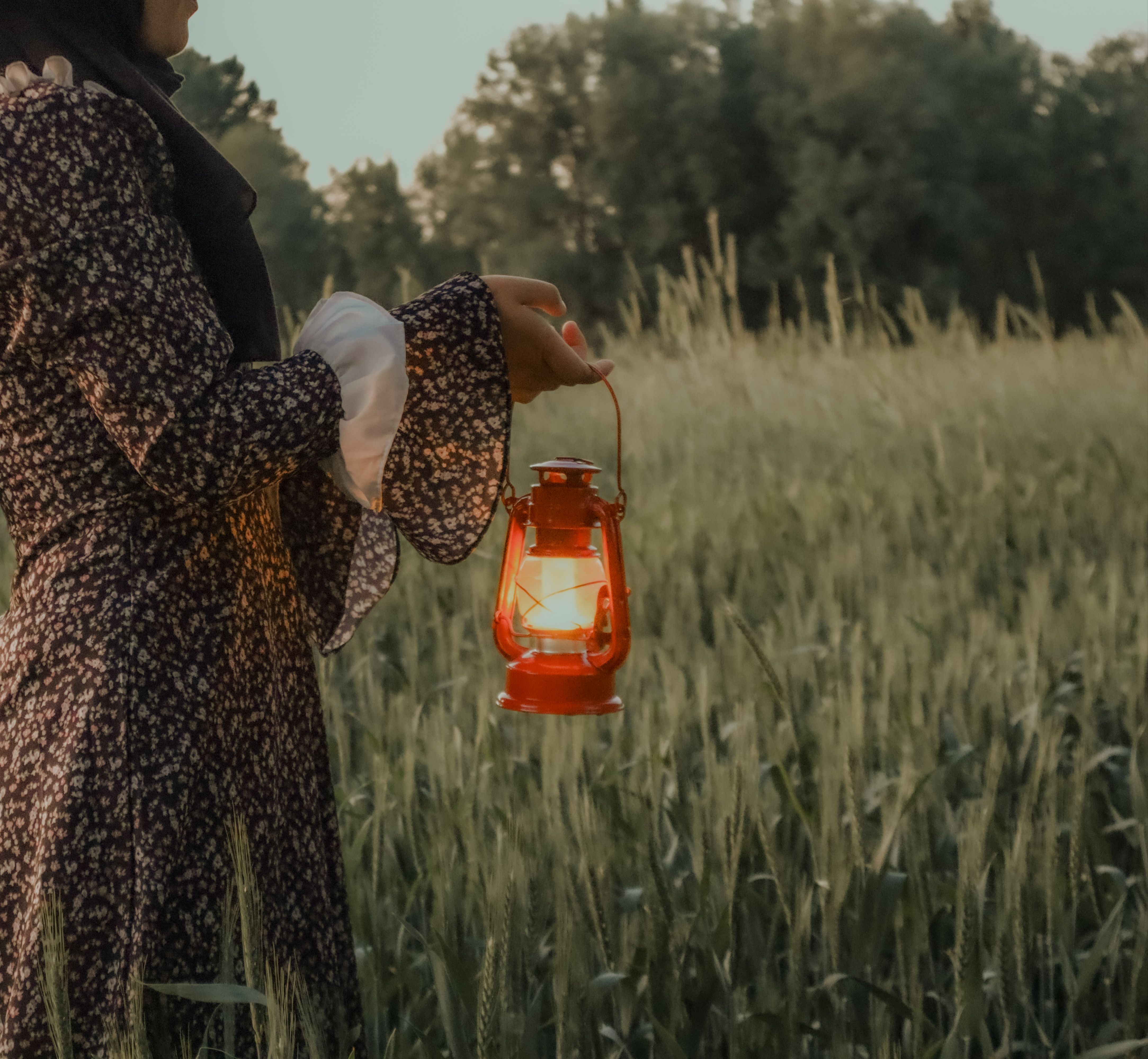 Woman Holding Lantern in Field at Dusk · Free Stock Photo